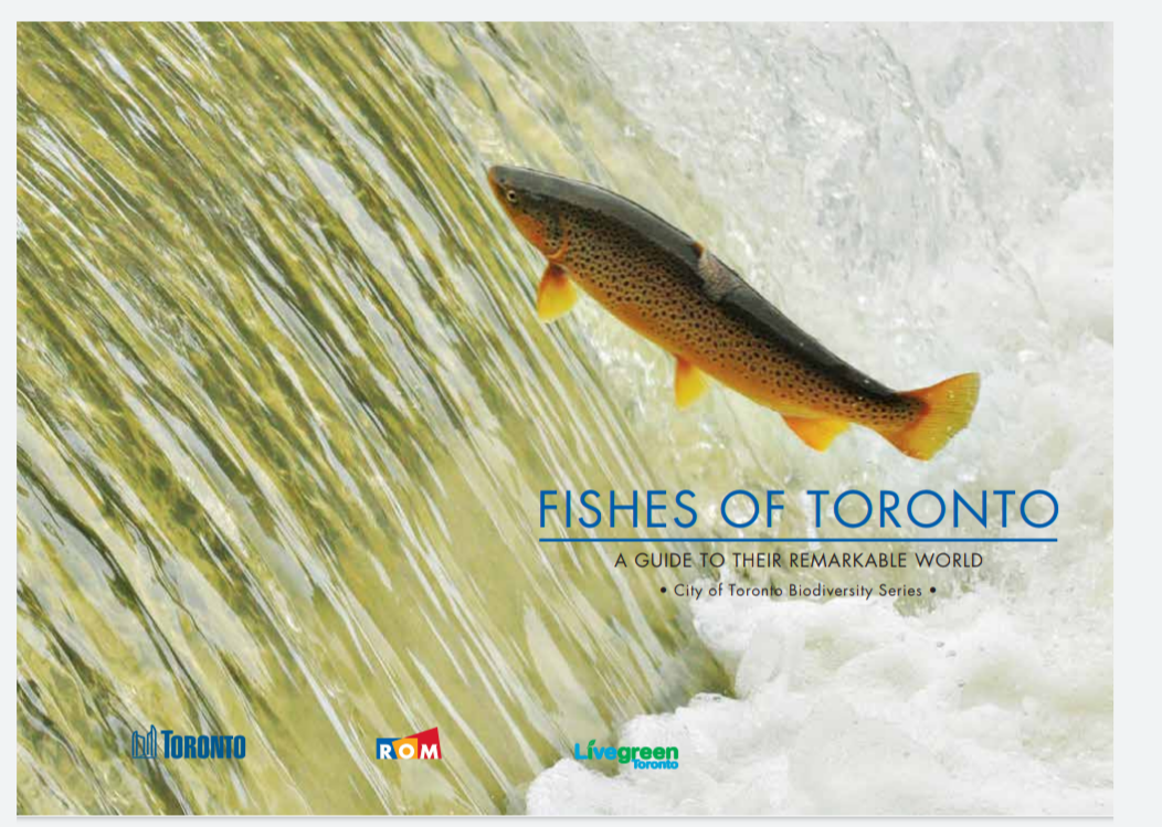 Fishes of Toronto - A Guide to Their Remarkable World by Royal Ontario ...
