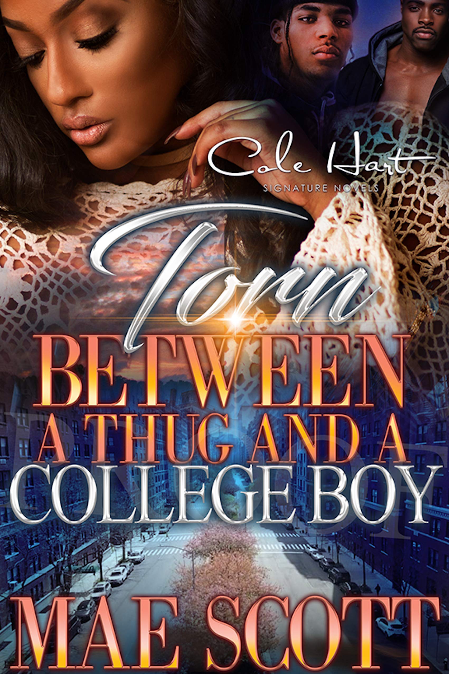 Torn Between A Thug And A College Boy: An Urban Romance: Standalone by ...