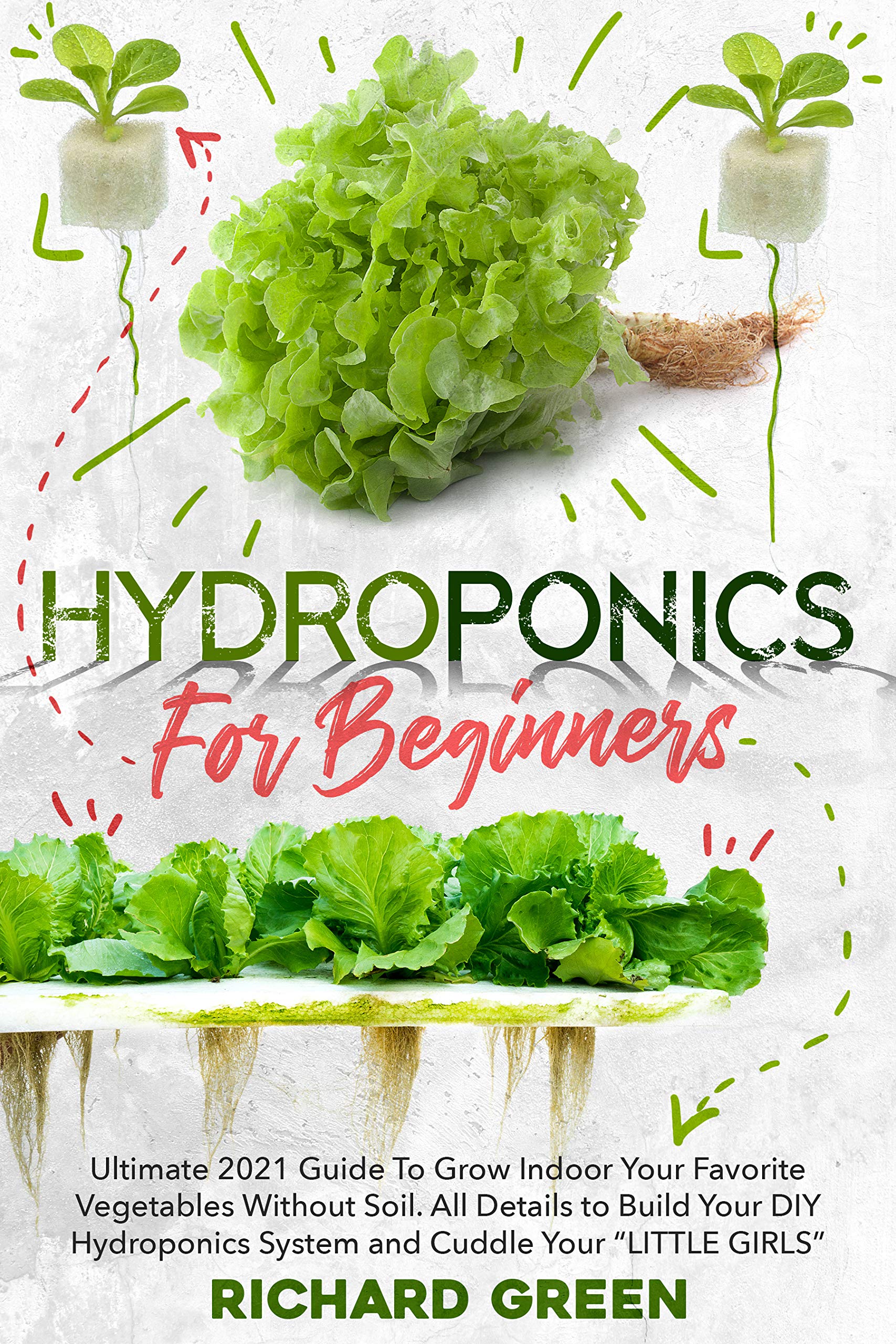 HYDROPONICS FOR BEGINNERS: How To Choose Sustainability and Share It ...