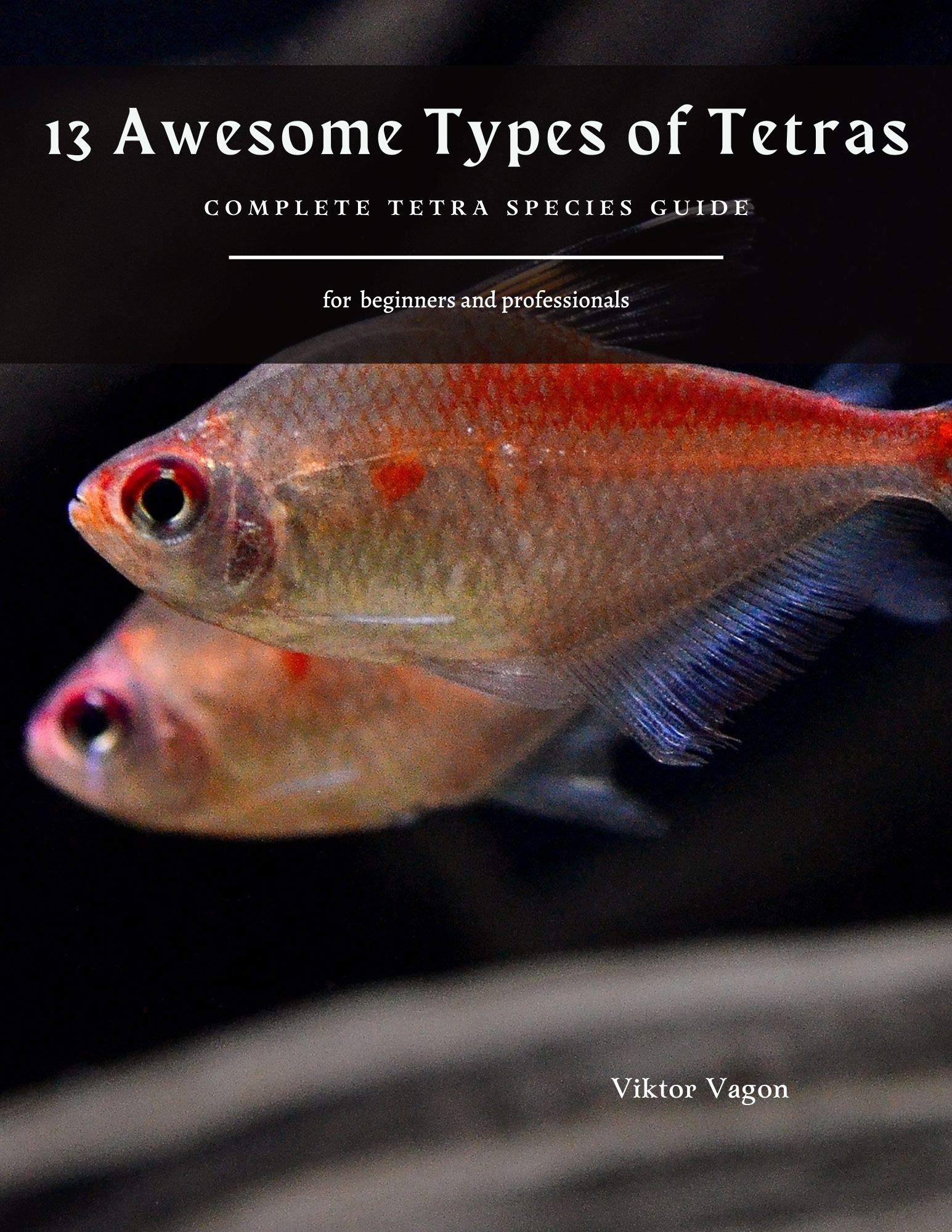13 Awesome Types of Tetras: Complete Tetra Species Guide by Viktor ...