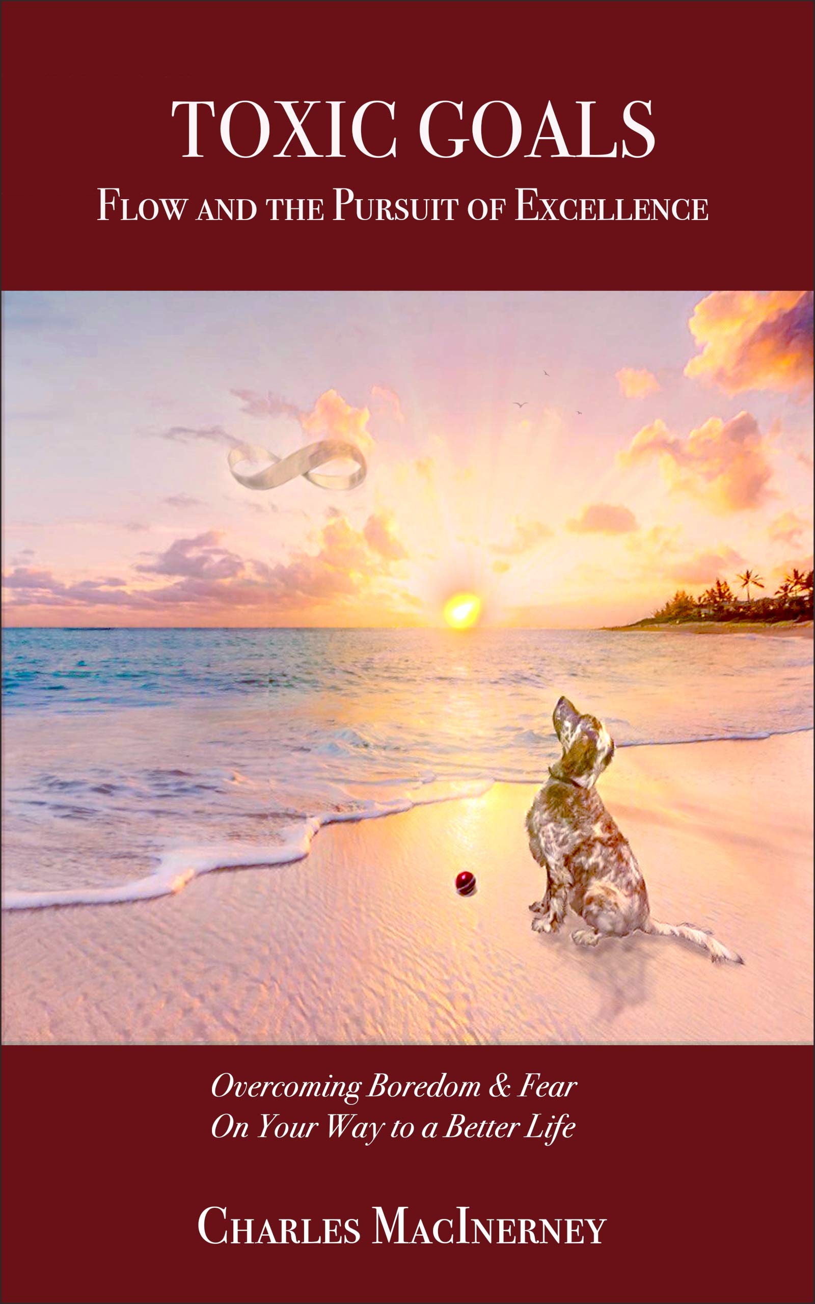 Toxic Goals, Flow and the Pursuit of Excellence: Overcoming Boredom ...