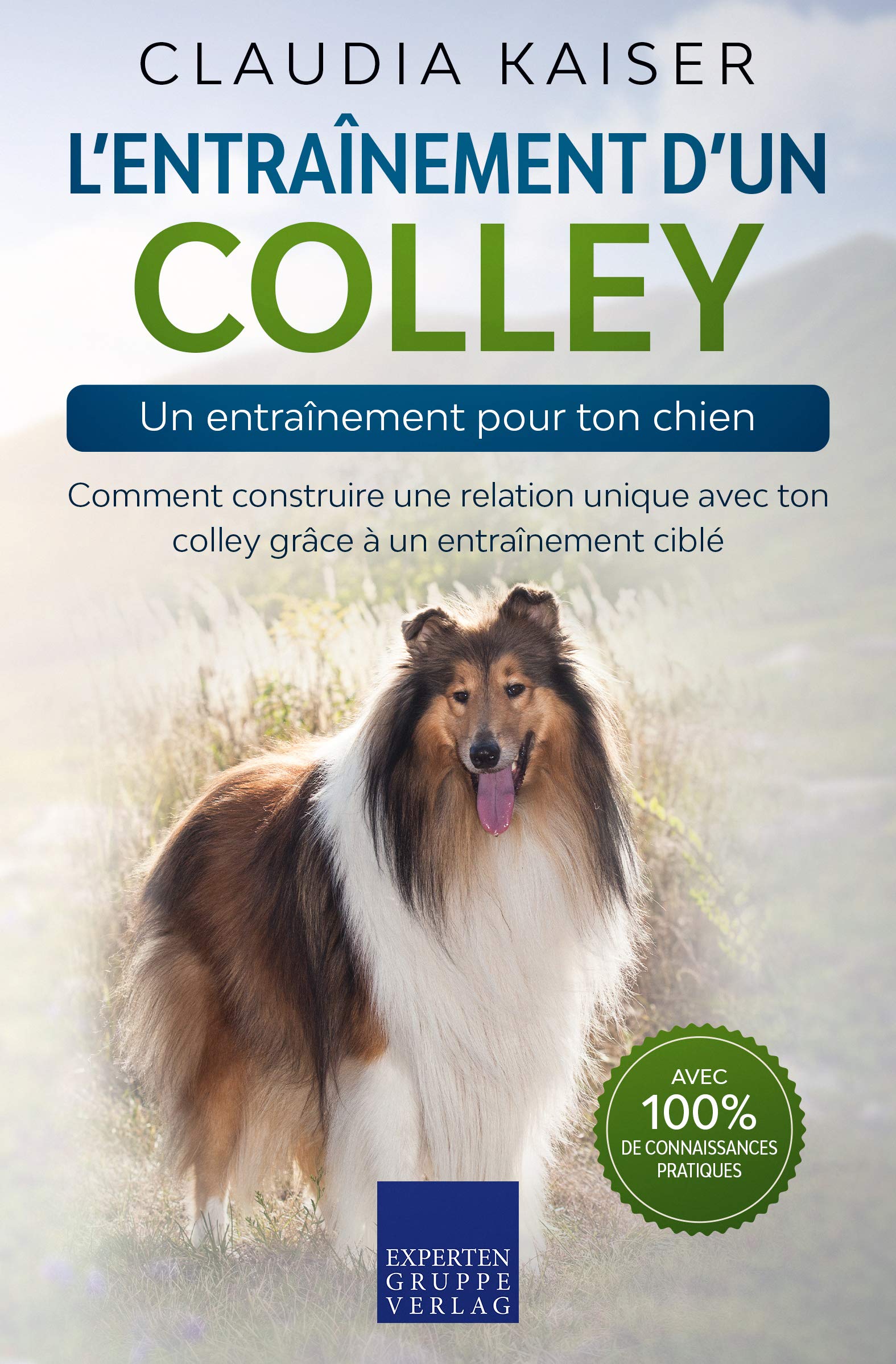 L’entraînement d’un colley – un entraînement pour ton chien: Comment ...