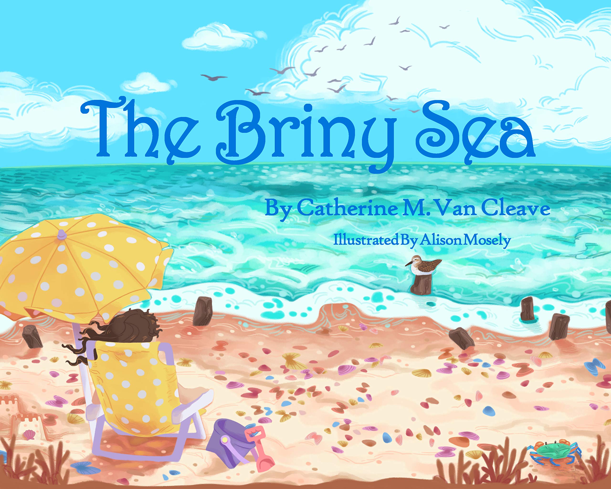 The Briny Sea by Catherine M. Van Cleave | Goodreads