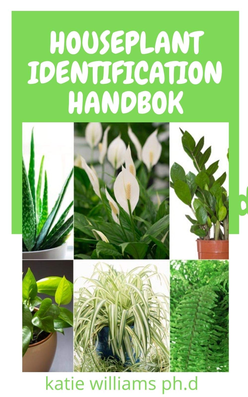HOUSEPLANT IDENTIFICATION HANDBOK: Complete Guide for Palms, Bulbs ...