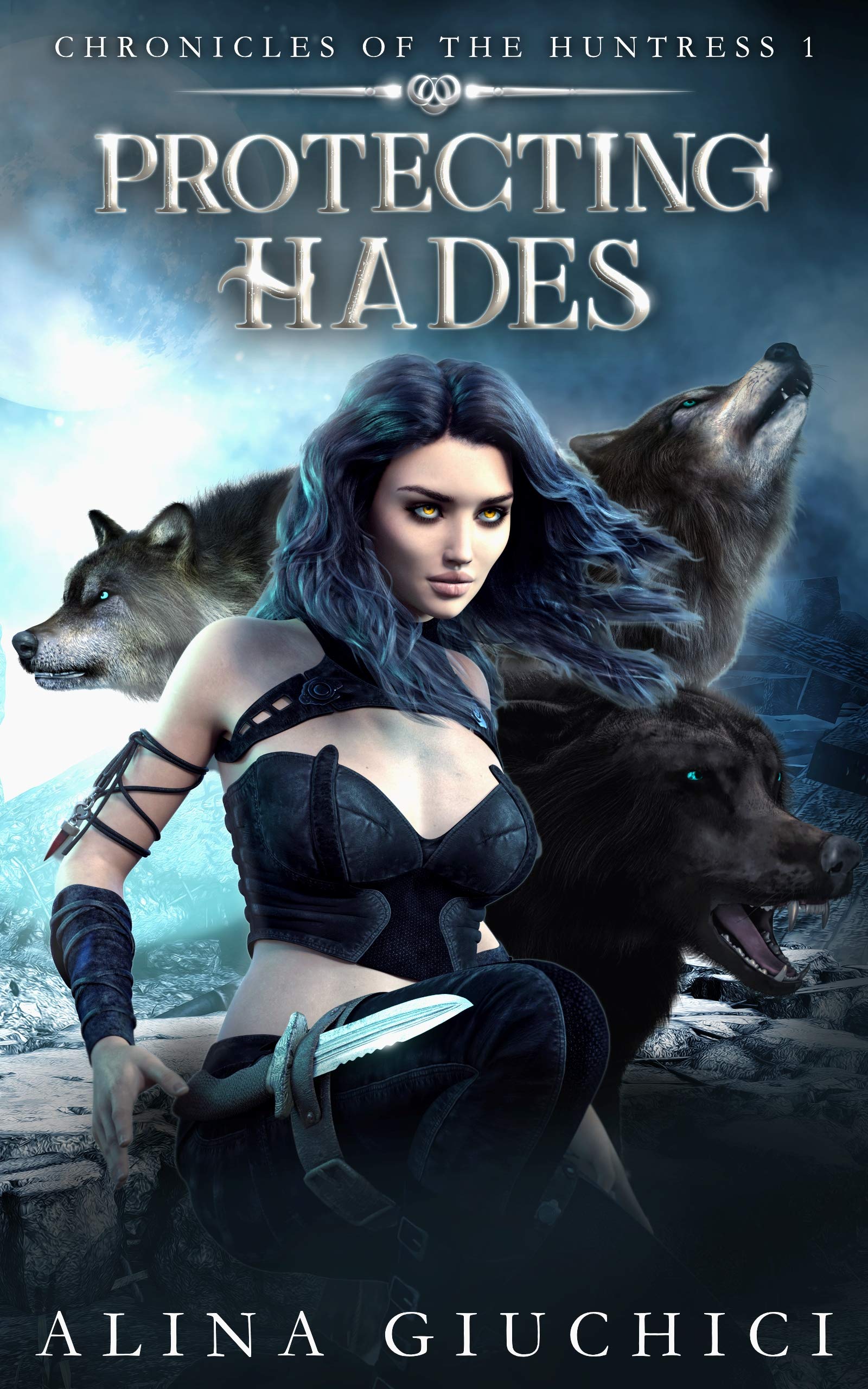 Protecting Hades: A Fantasy Slow Burn Hellhound Shifter Reverse Harem Romance: Chronicles of the ...