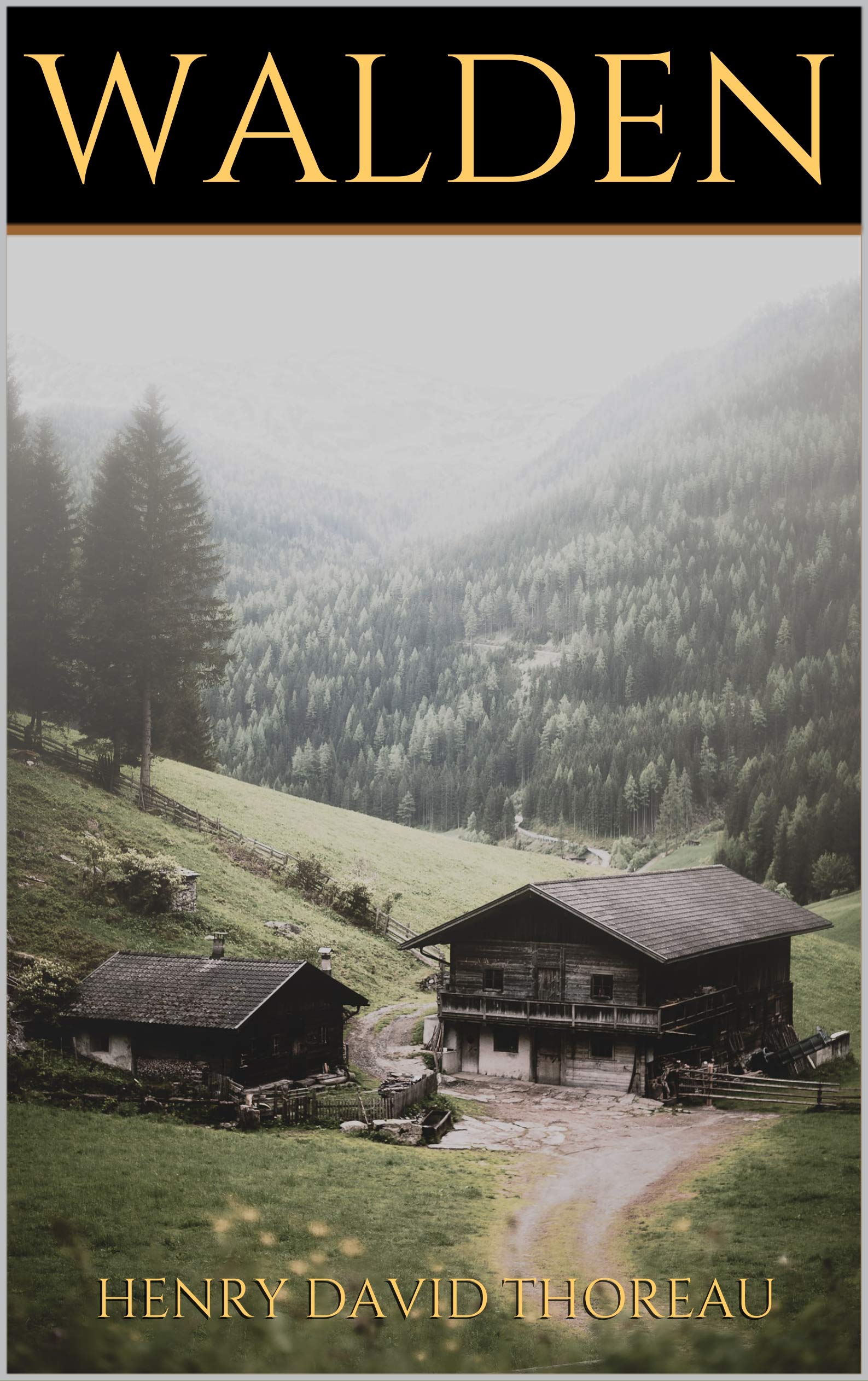 WALDEN by Henry David Thoreau | Goodreads