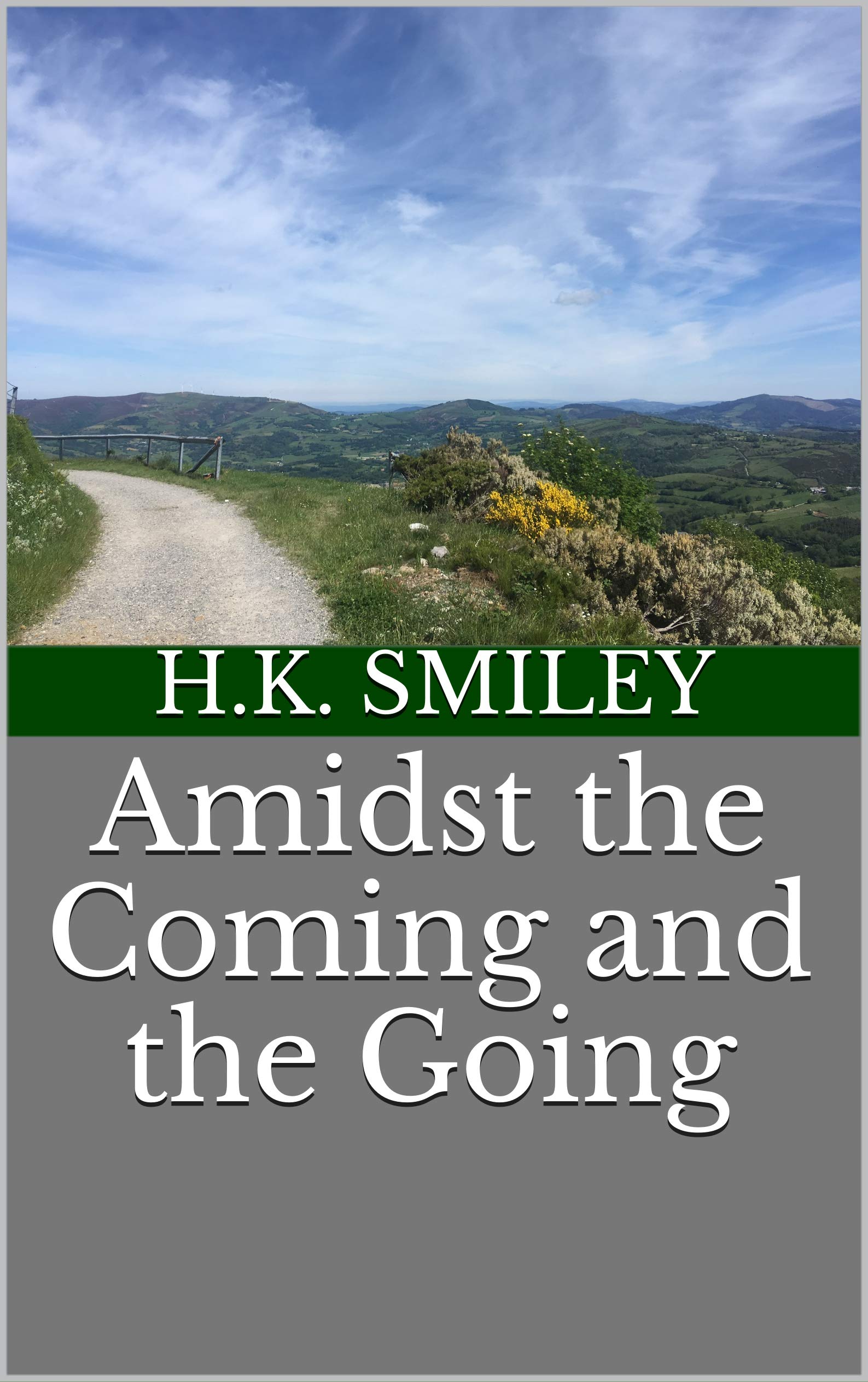 Amidst the Coming and the Going by H.K. Smiley | Goodreads