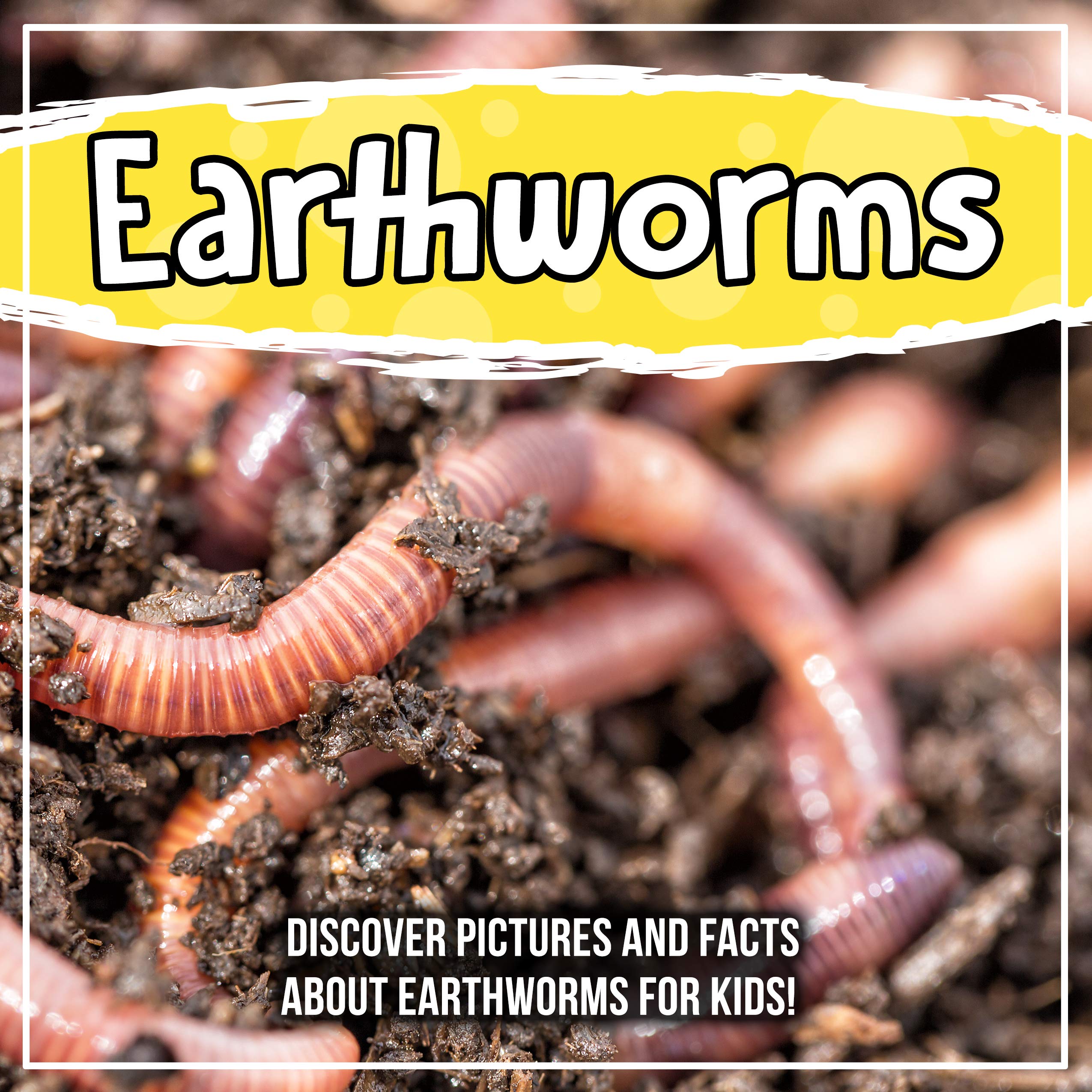 Earthworms Discover Pictures And Facts About Earthworms For Kids By