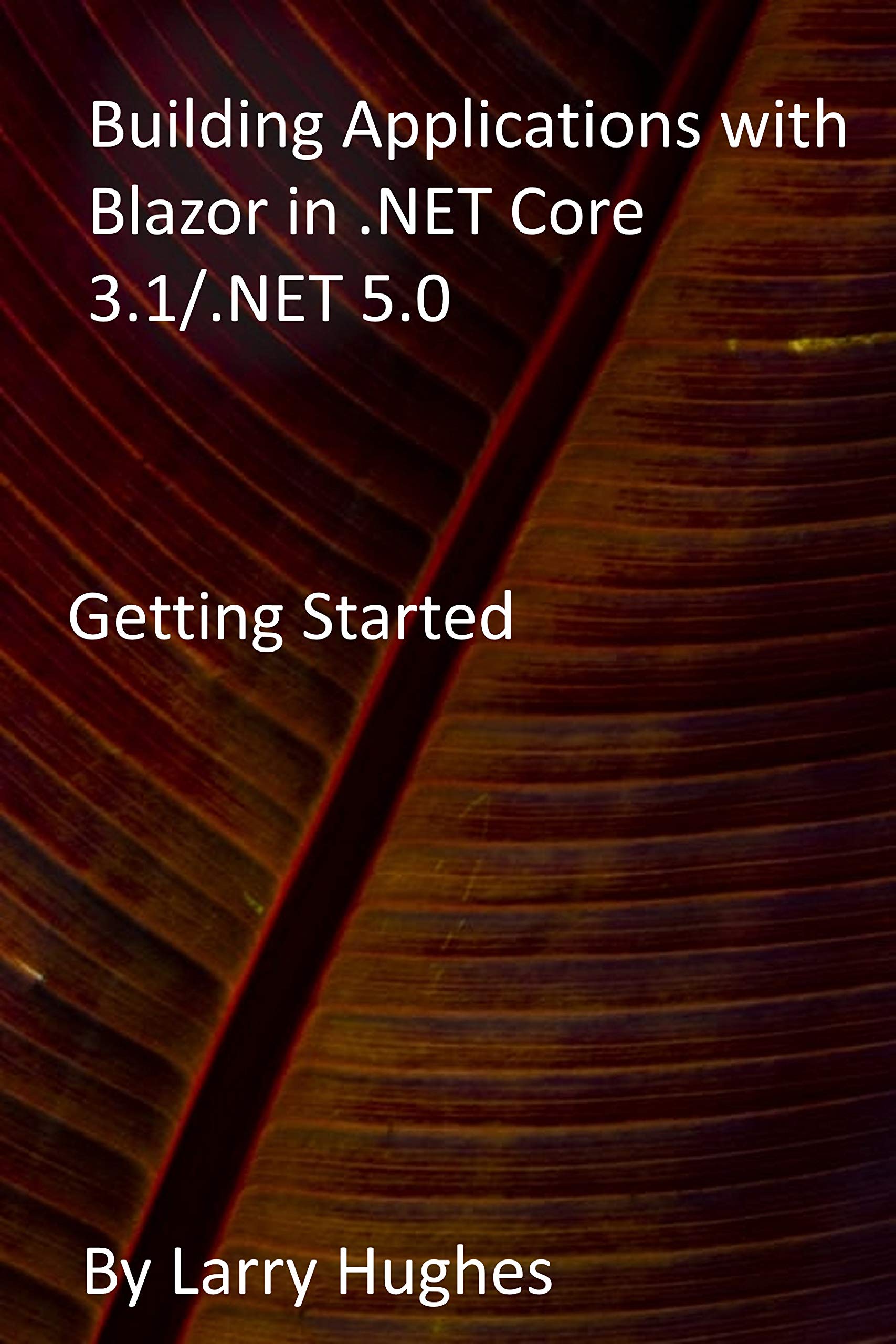 Building Applications with Blazor in .NET Core 3.1/.NET 5.0: Getting ...