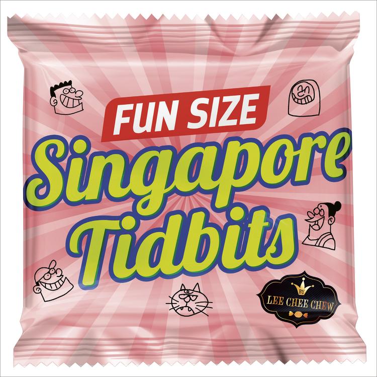 Fun Size Singapore Tidbits by Lee Chee Chew | Goodreads