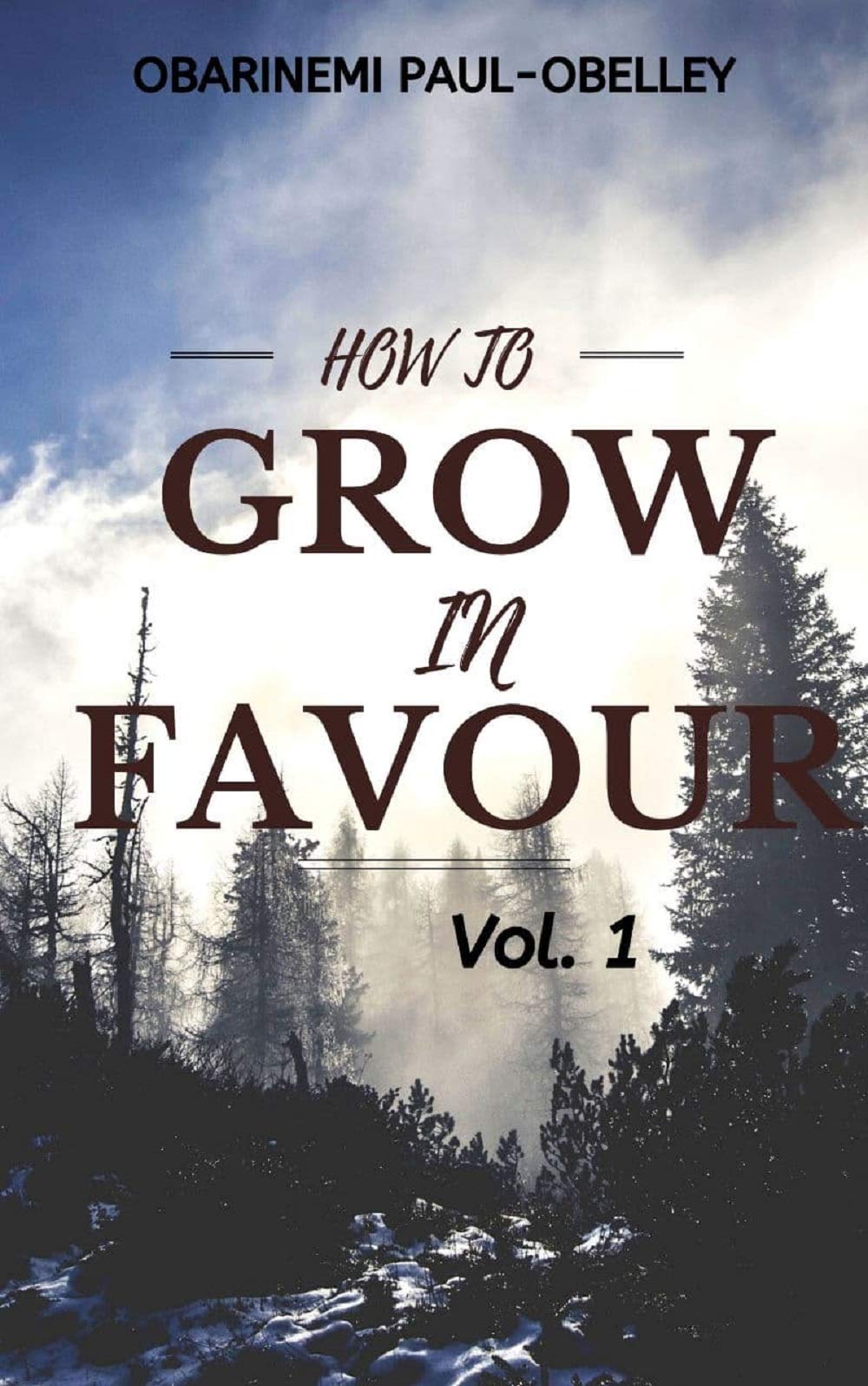 HOW TO GROW IN FAVOUR Vol. 1 by Obarinemi Paul-Obelley | Goodreads