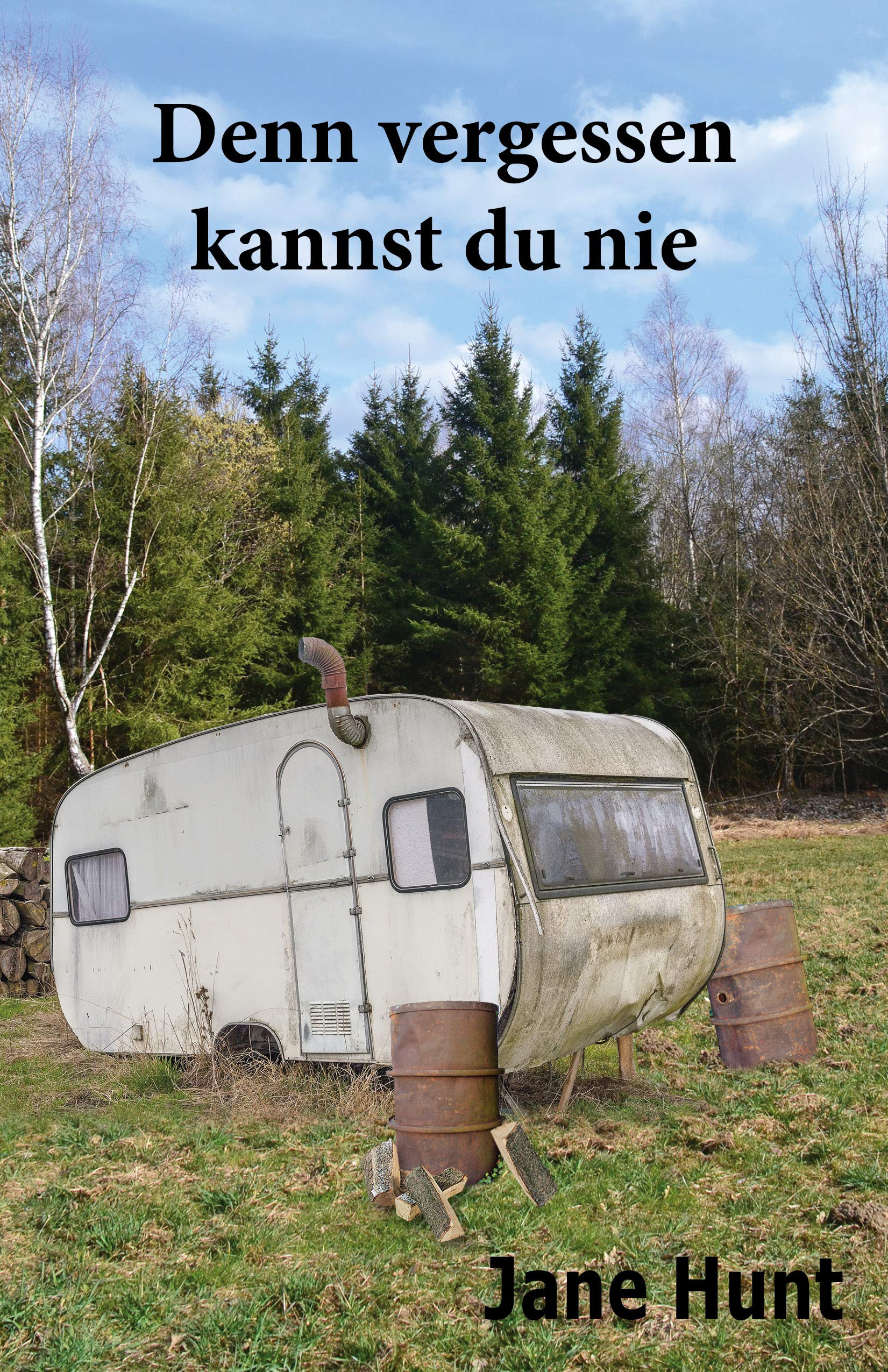Denn vergessen kannst du nie (Hendrik Baur 6) by Jane Hunt | Goodreads