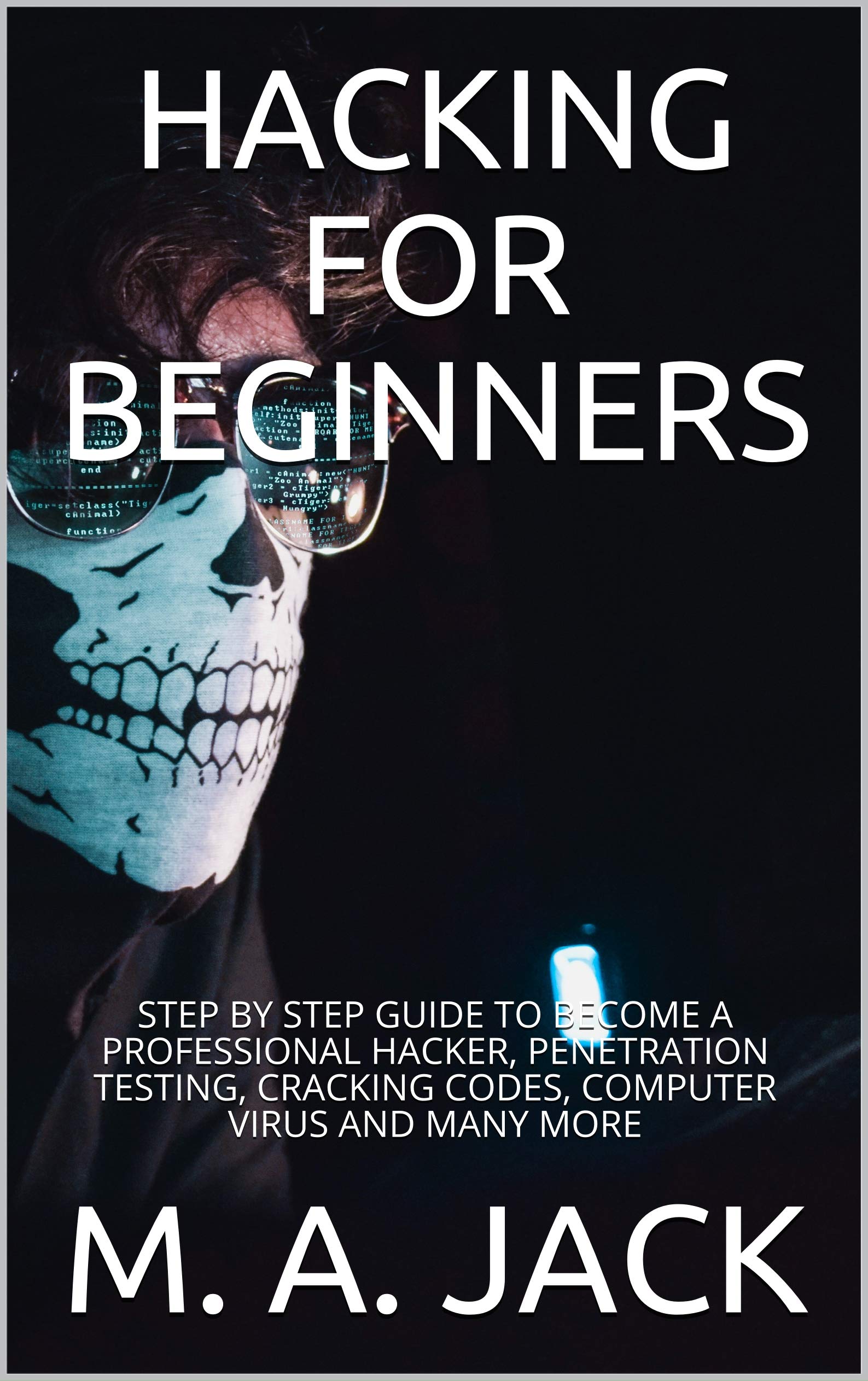 HACKING FOR BEGINNERS: STEP BY STEP GUIDE TO BECOME A PROFESSIONAL ...