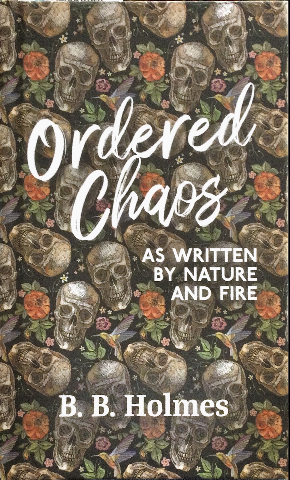 Ordered Chaos by B.B. Holmes | Goodreads