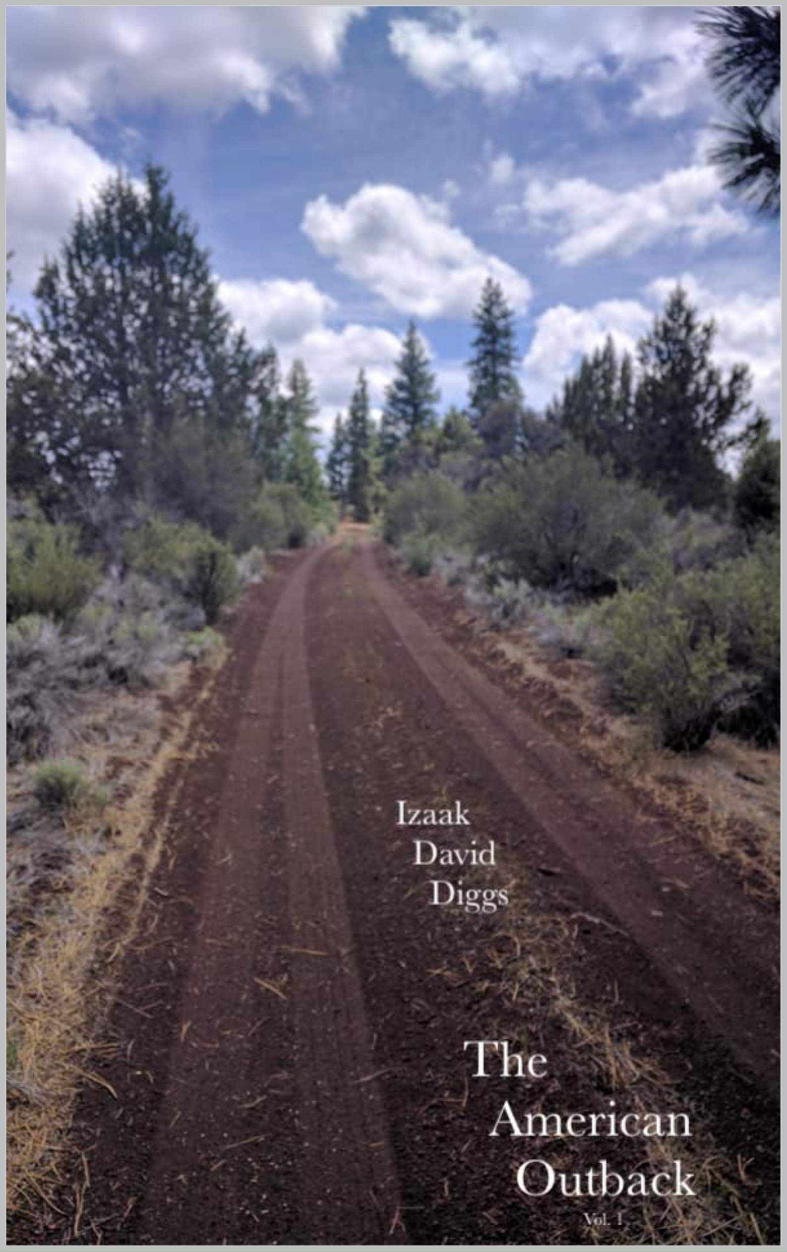 The American Outback: Disappearing is a Young Man's Game by Izaak David ...