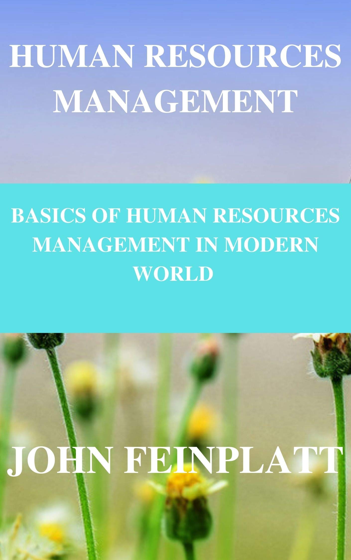 HUMAN RESOURCES MANAGEMENT : BASICS OF HUMAN RESOURCES MANAGEMENT IN ...