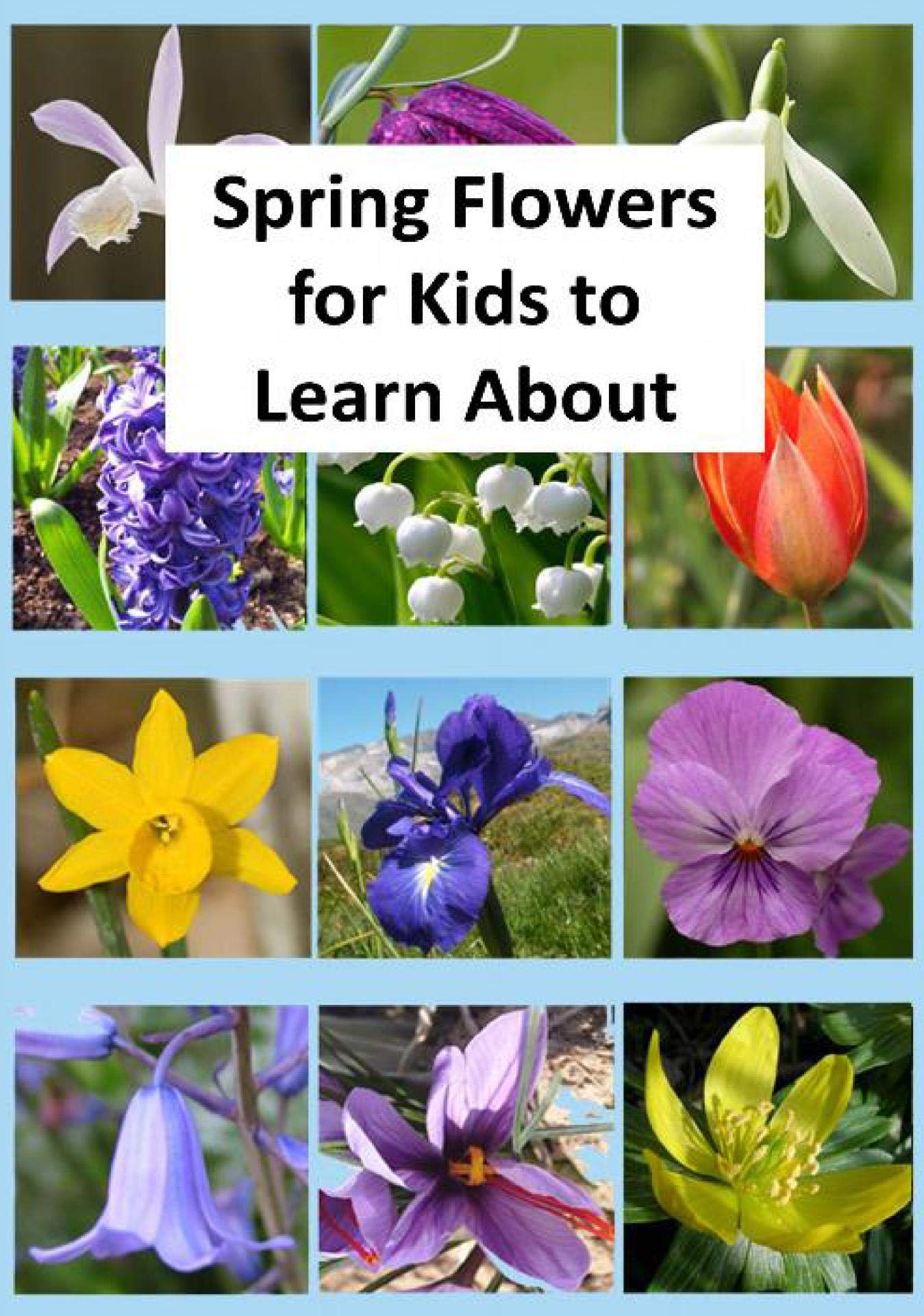 Spring Flowers for Kids to Learn About (Plants) by Rich Linville ...