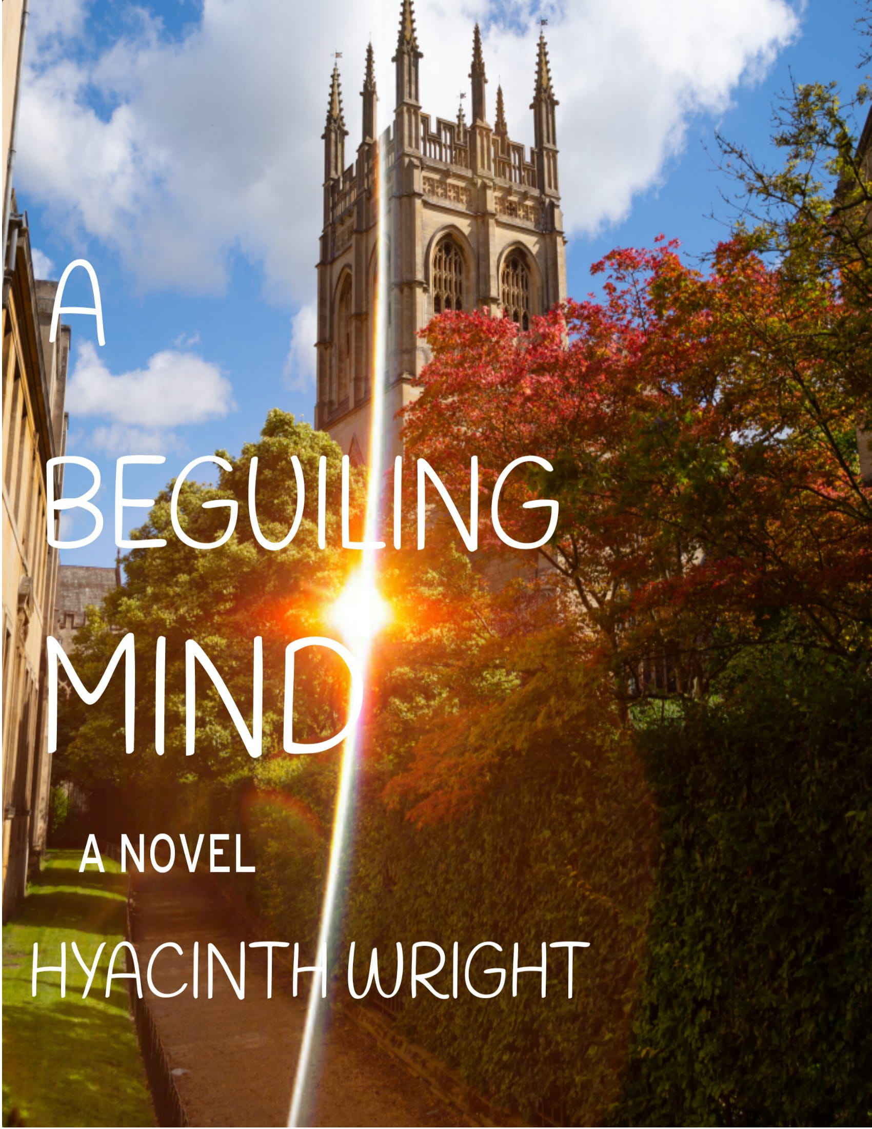 A Beguiling Mind by Hyacinth Wright | Goodreads