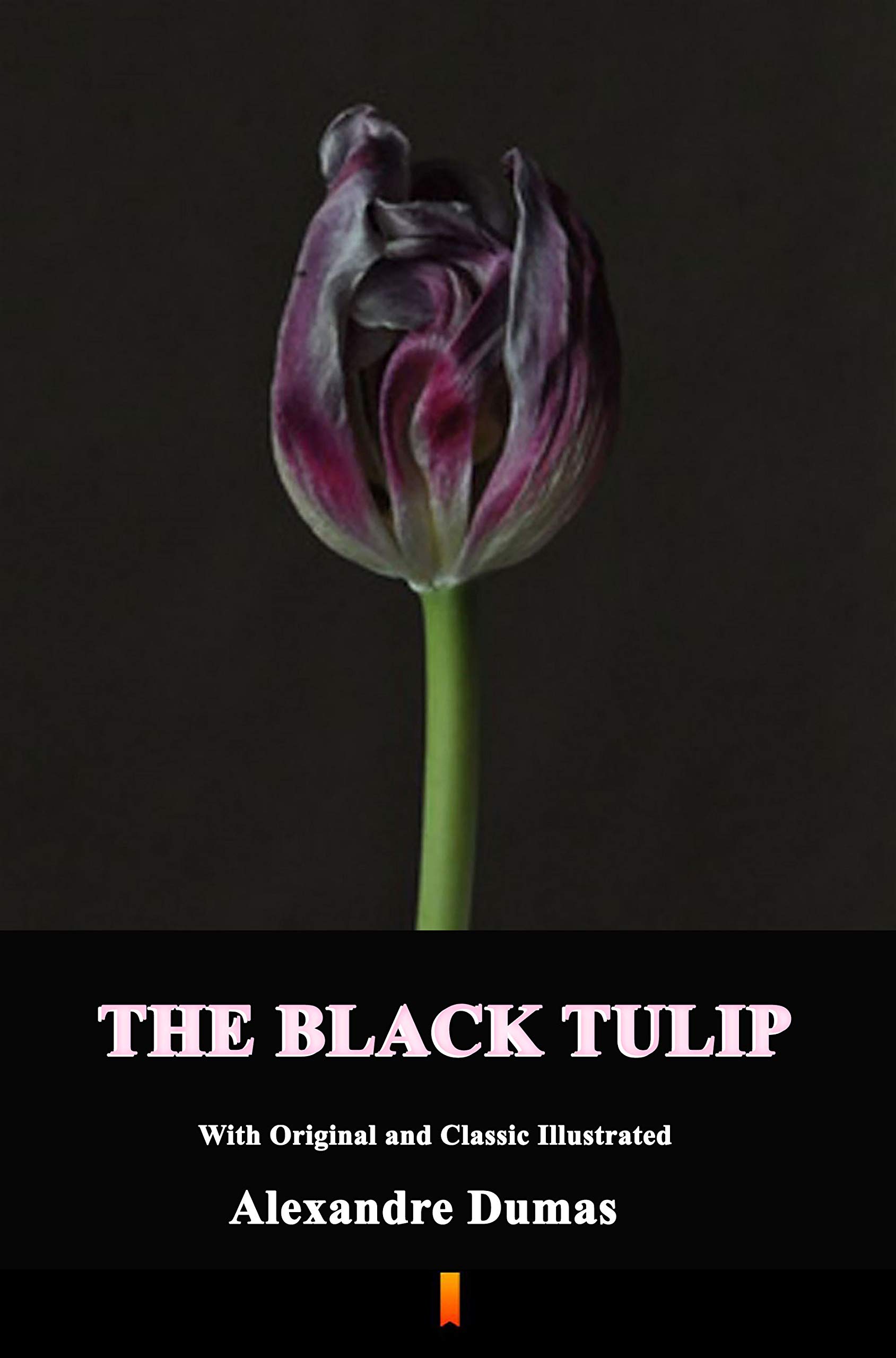 The Black Tulip (Illustrated): Classic Novel, Unabridged Classic Edition by Alexandre Dumas by ...