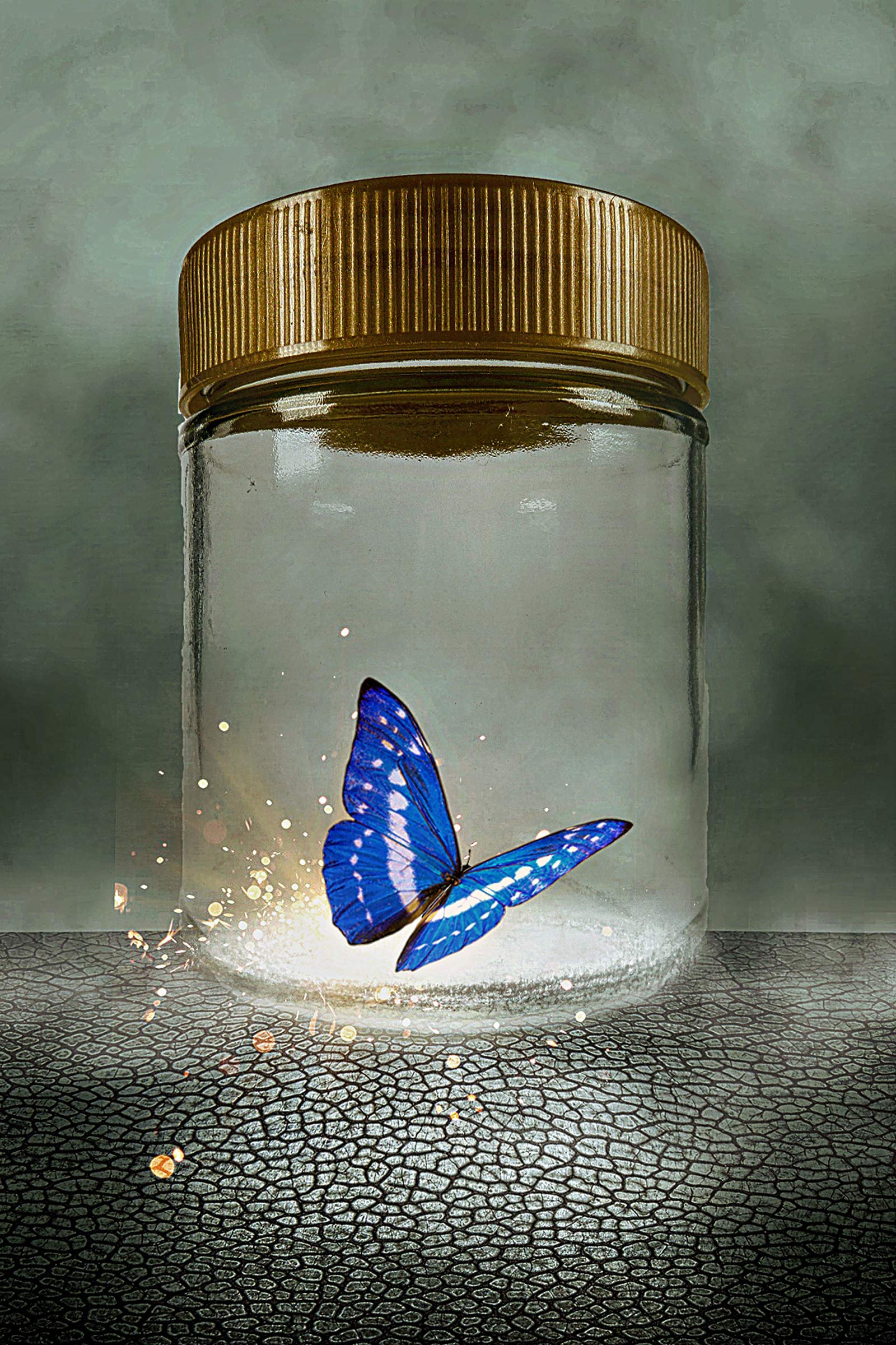 The Diary of a Manic OCD Bookseller: One Book at a time by James Bailey ...