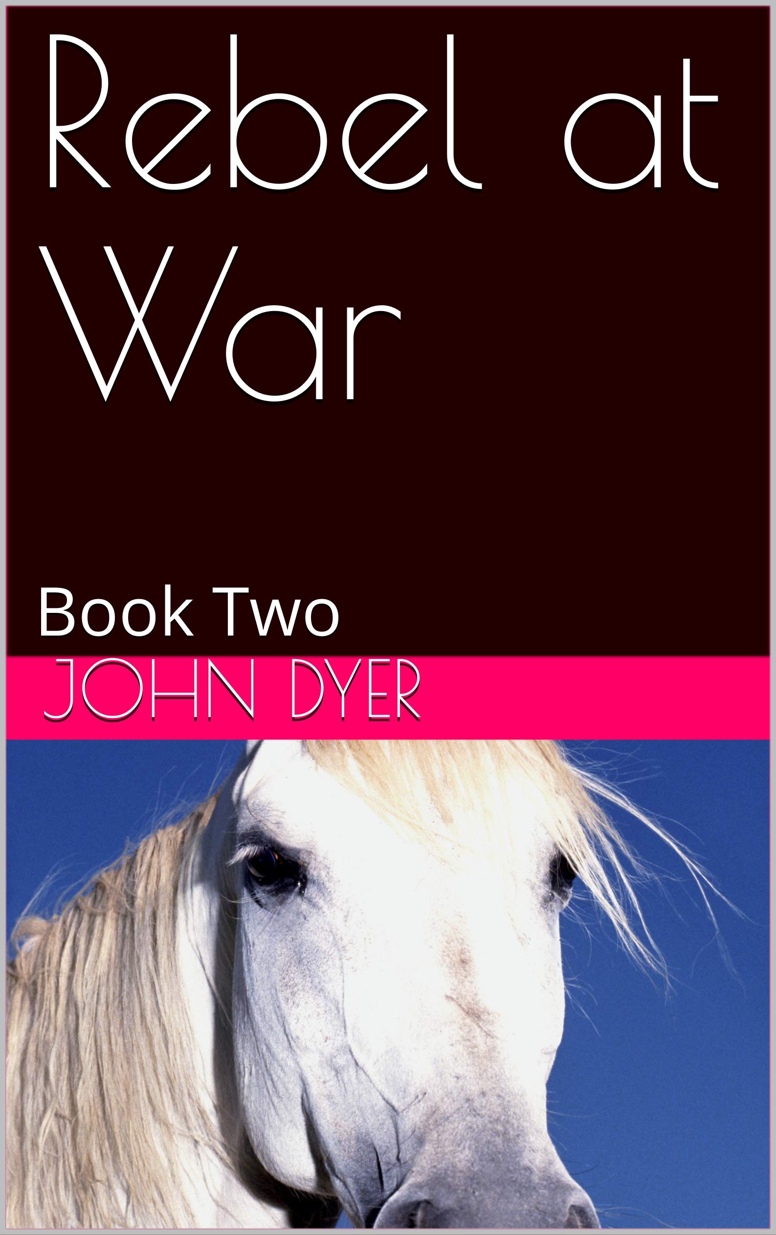 Rebel at War: Book Two by John Dyer | Goodreads