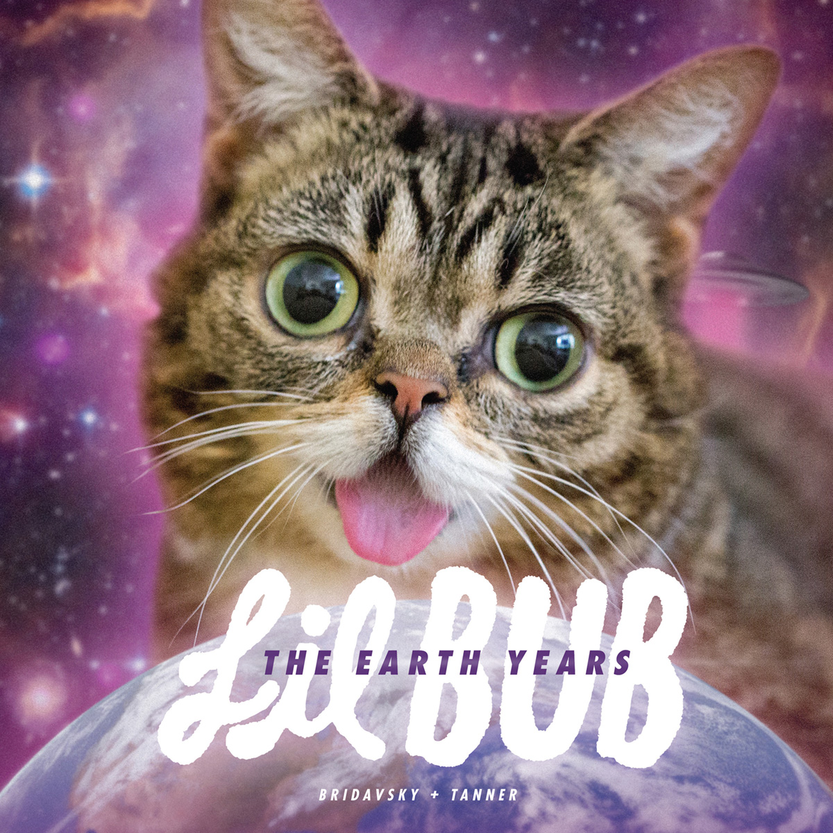 Lil BUB: The Earth Years by Aaron Tanner | Goodreads