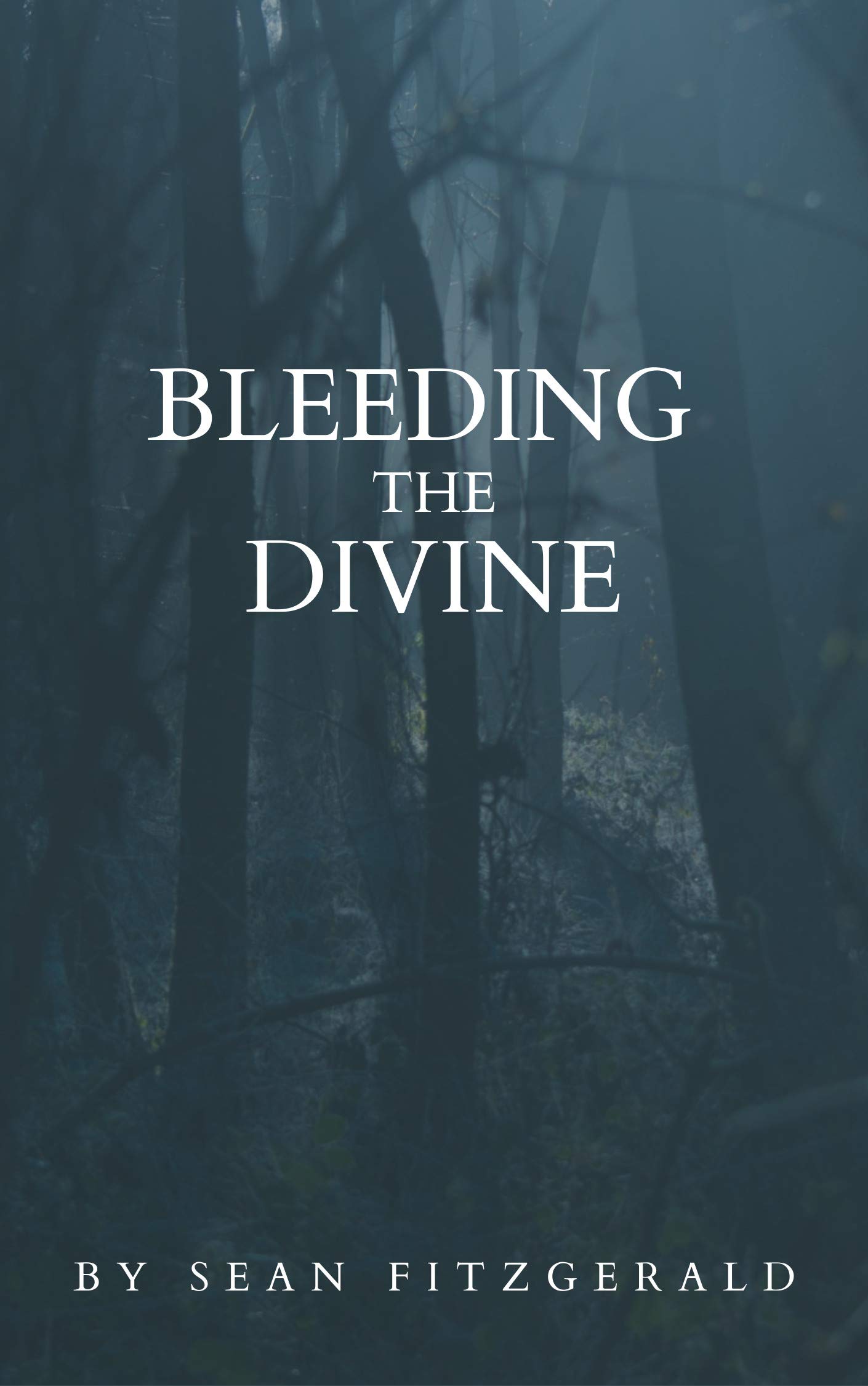 Bleeding The Divine: A Dark Action Fantasy by Sean Fitzgerald | Goodreads
