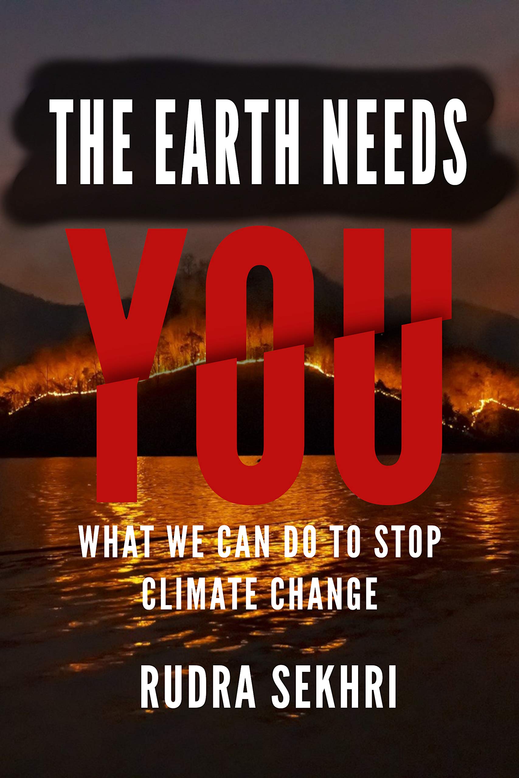 The Earth Needs You: What We Can Do to Stop Climate Change by Rudra ...
