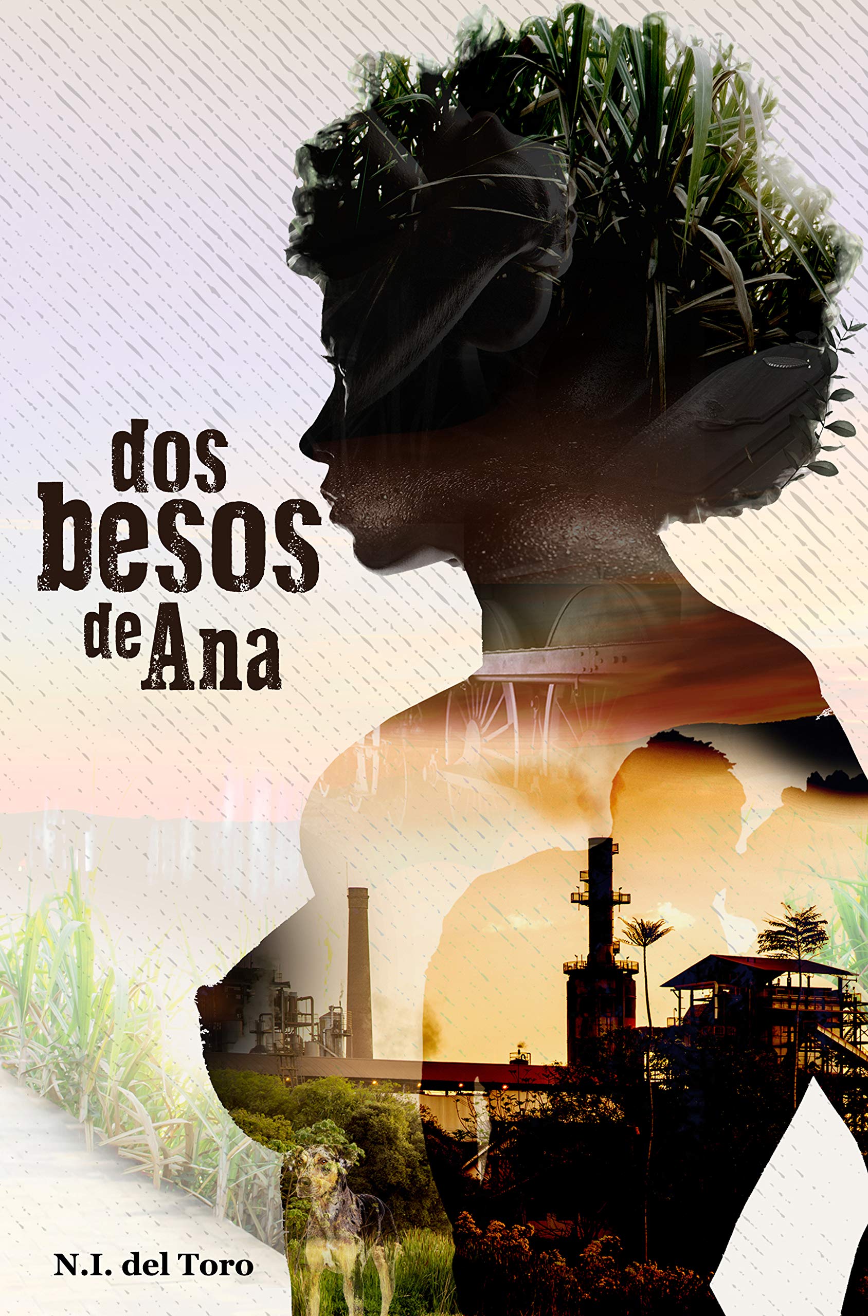 Dos besos de Ana (Spanish Edition) by N.I. del Toro | Goodreads