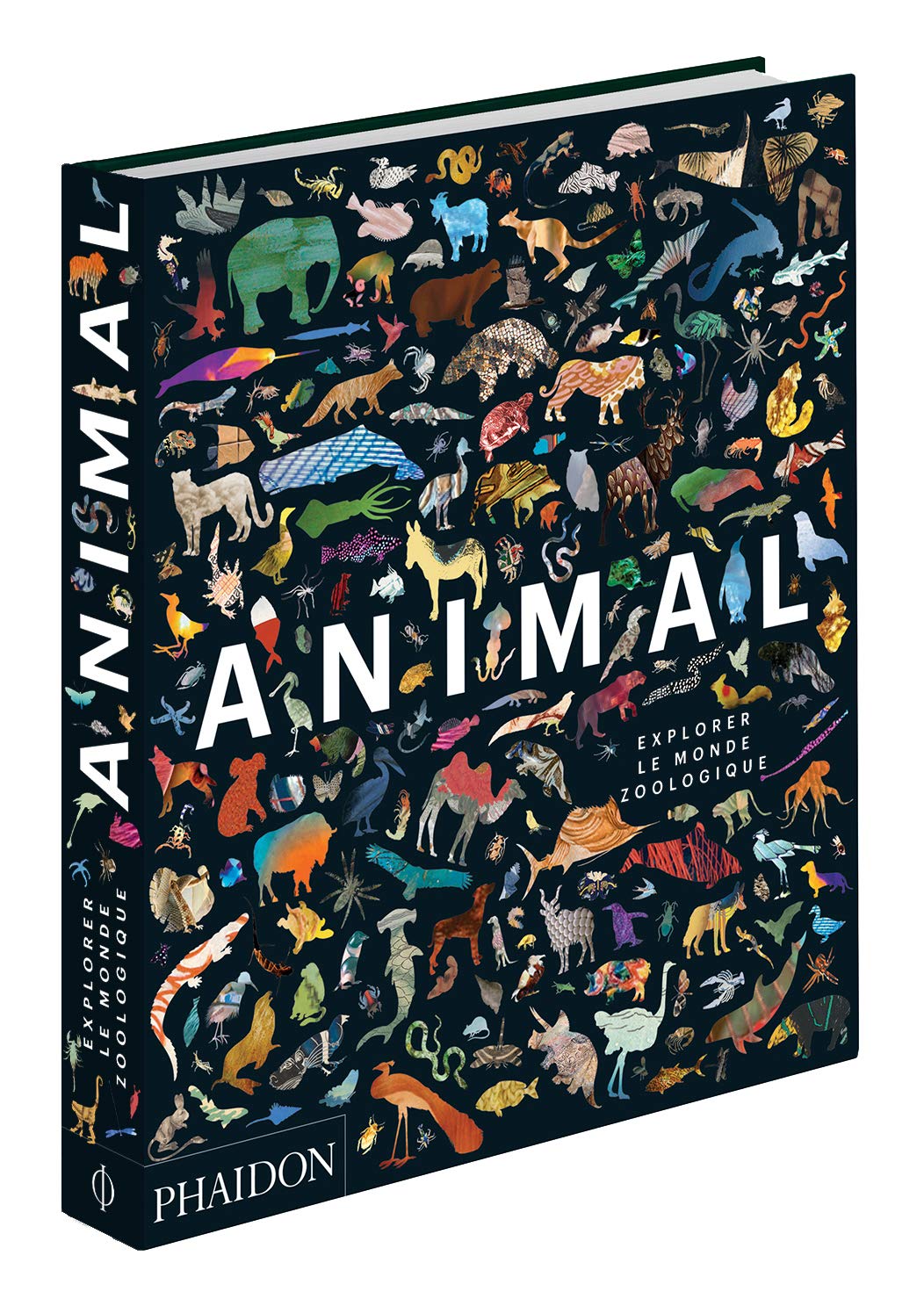 Animal: EXPLORER LE MONDE ZOOLOGIQUE by Phaidon Press | Goodreads