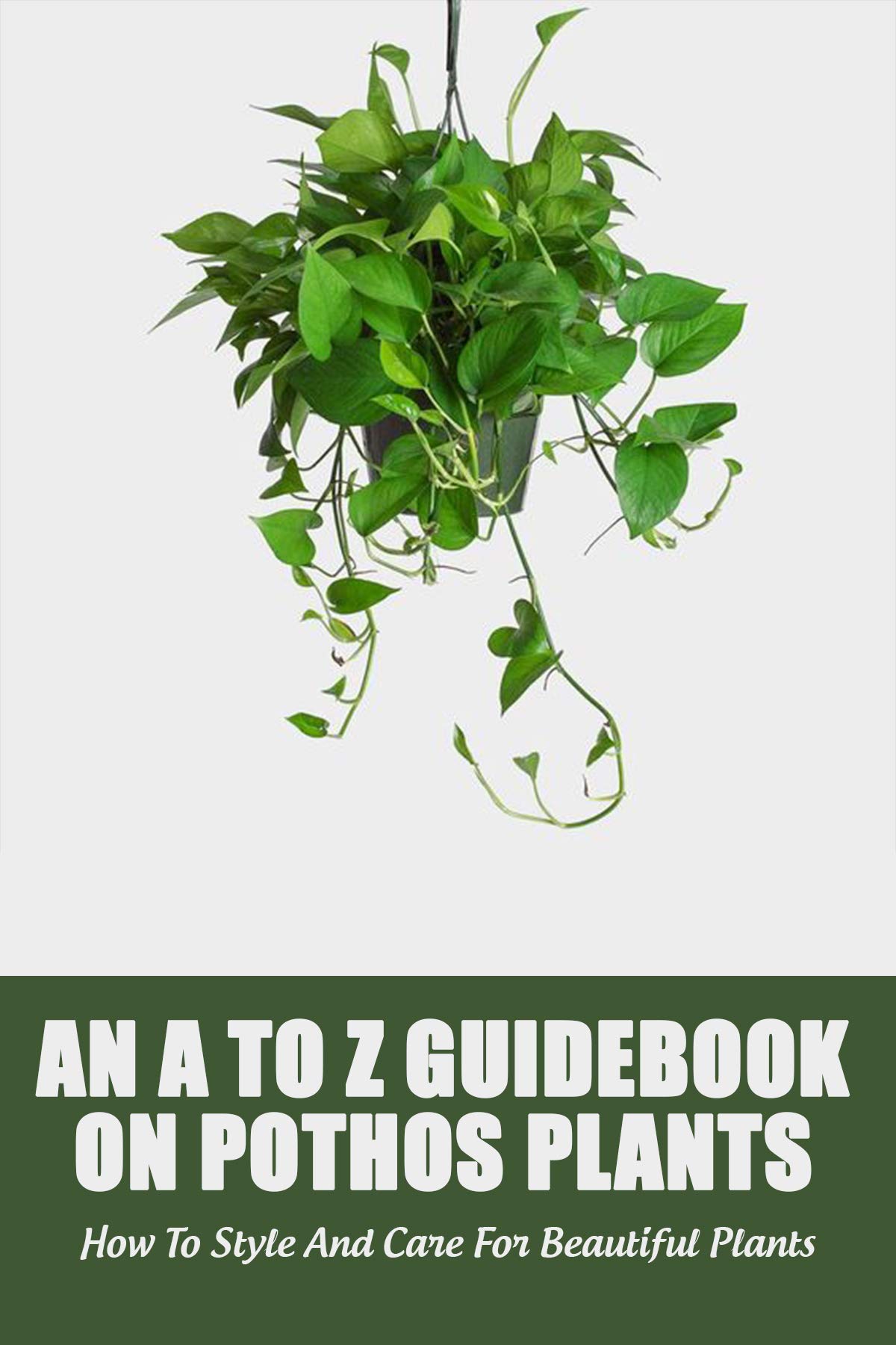 An A To Z Guidebook On Pothos Plants: How To Style And Care For ...