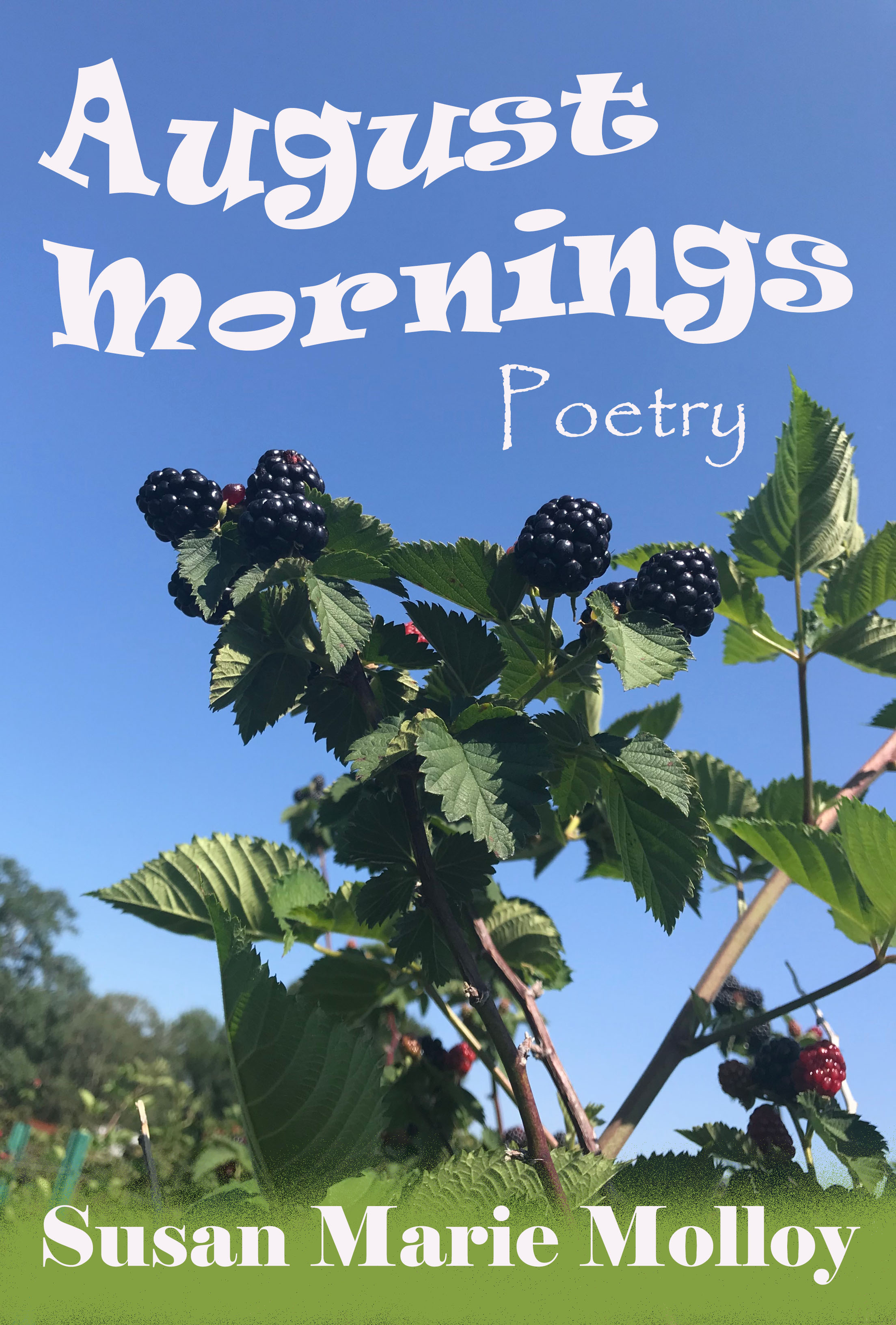 August Mornings by Susan Marie Molloy | Goodreads
