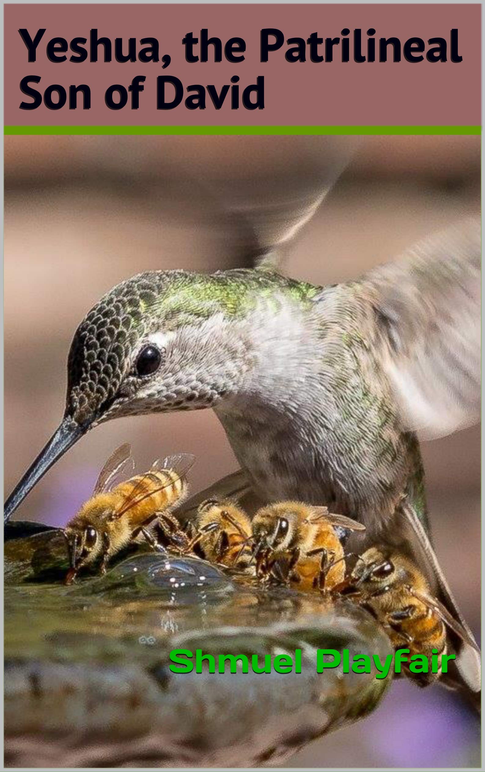 Yeshua, the Patrilineal Son of David by Shmuel Playfair | Goodreads