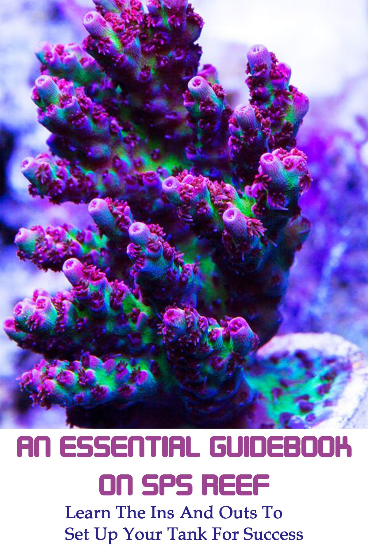 An Essential Guidebook On SPS Reef: Learn The Ins And Outs To Set Up ...