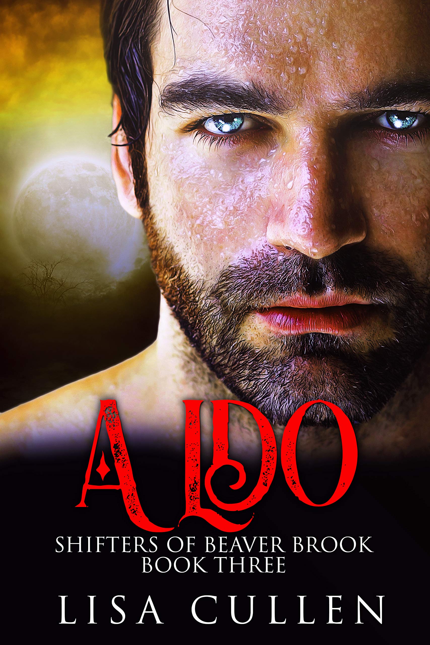 Aldo (Shifters of Beaver Brook #3) by Lisa Cullen | Goodreads