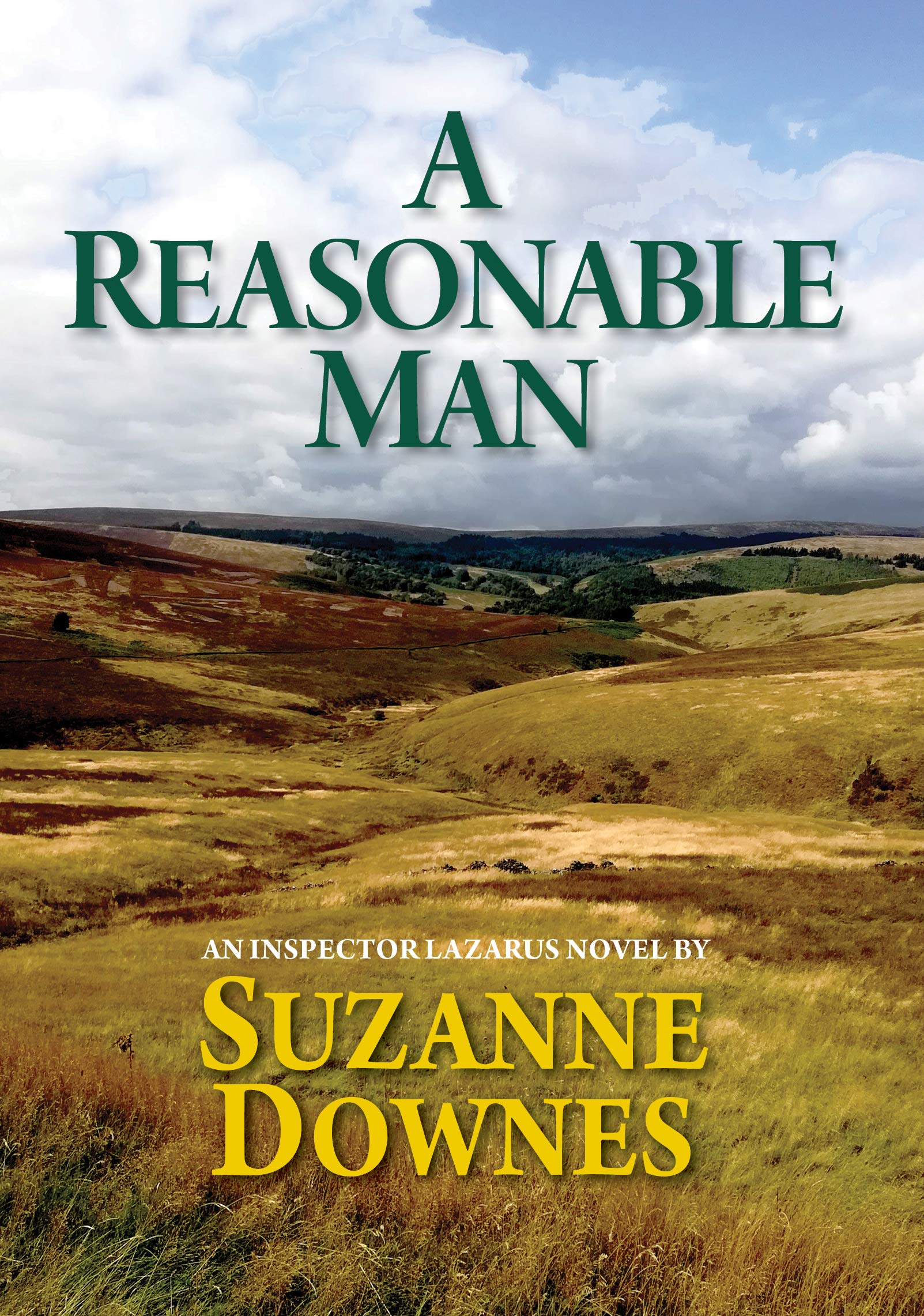 A Reasonable Man by Suzanne Downes | Goodreads