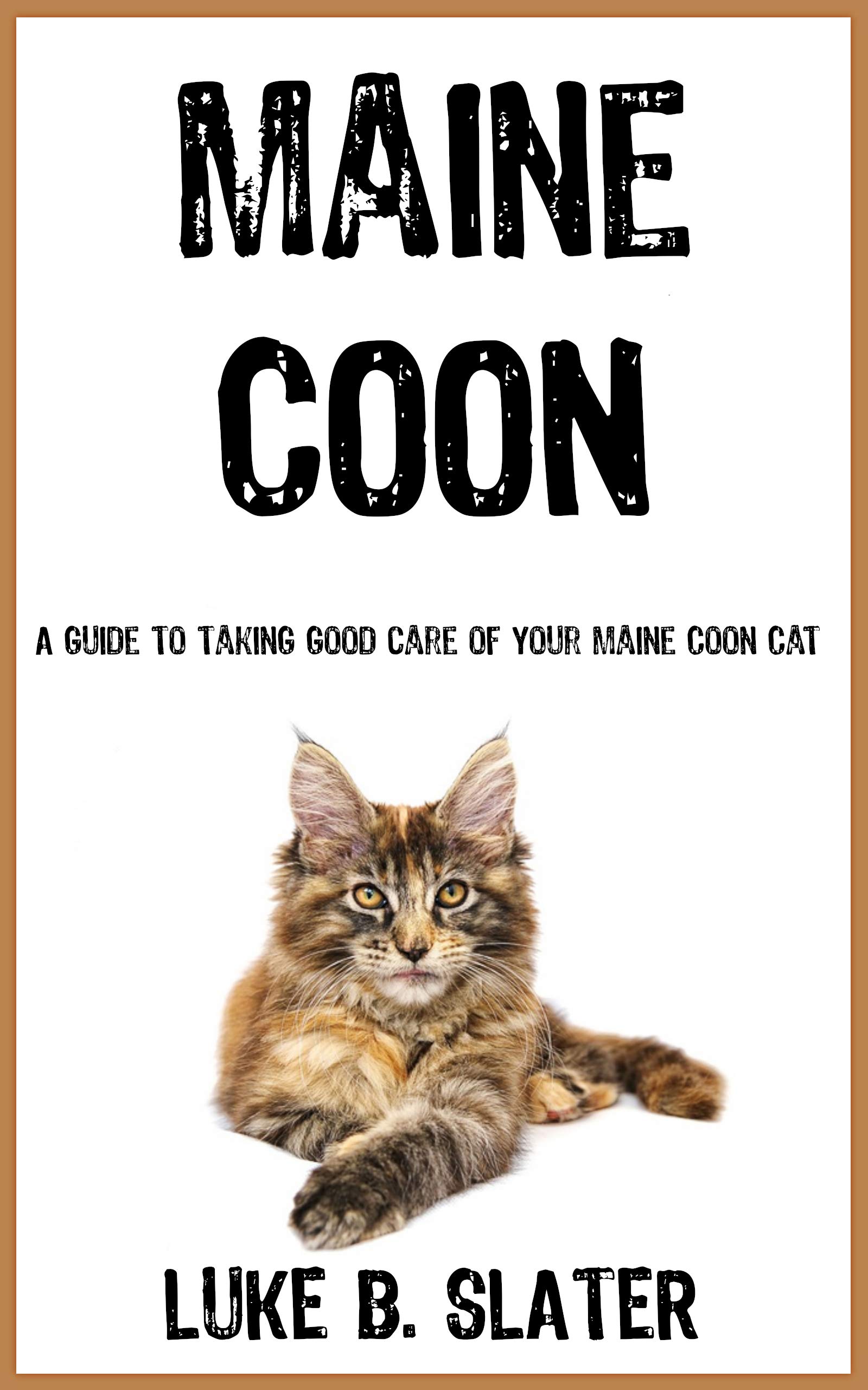 Maine Coon: A guide to taking good care of your Maine Coon Cat by Luke ...