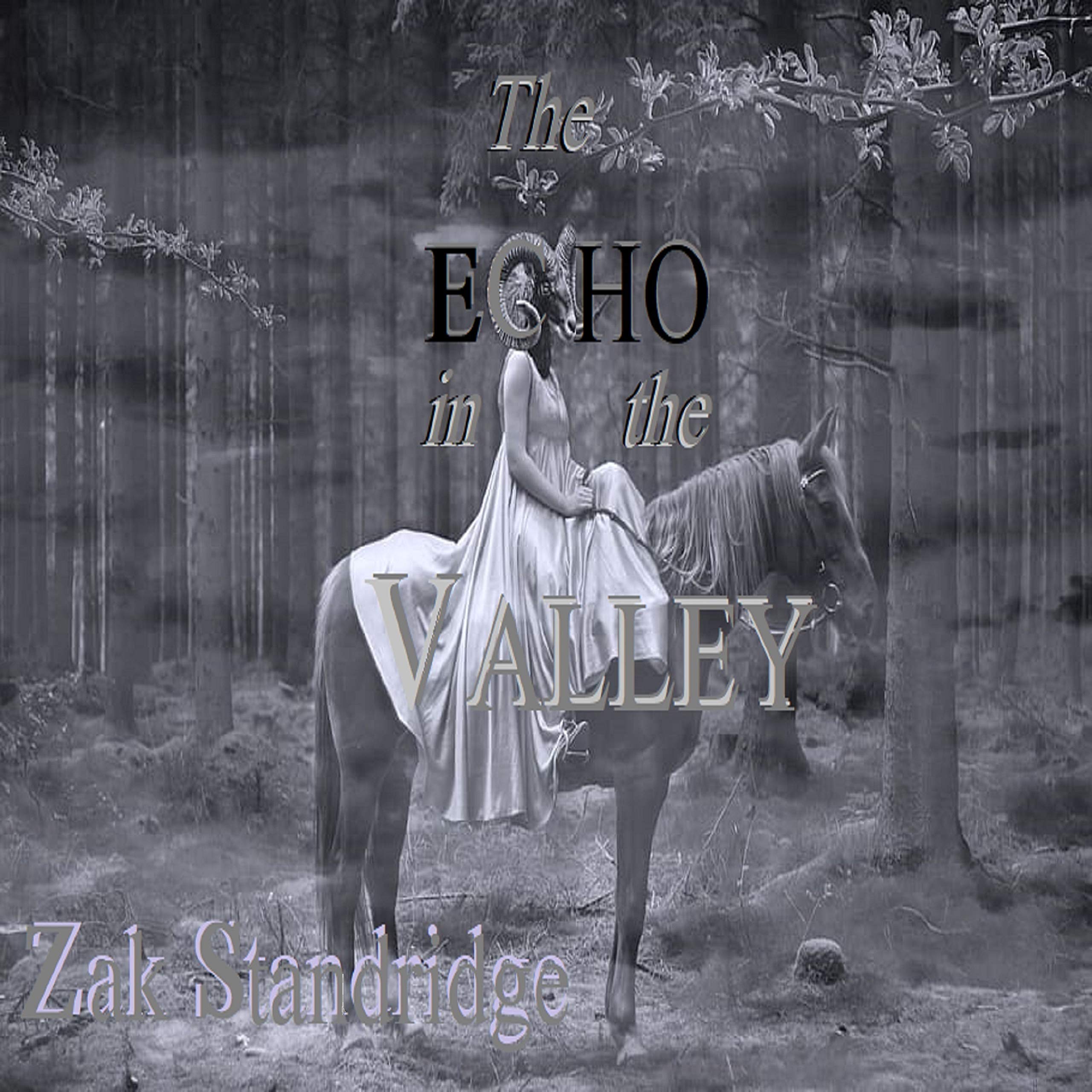 The Echo In The Valley by Zak Standridge | Goodreads