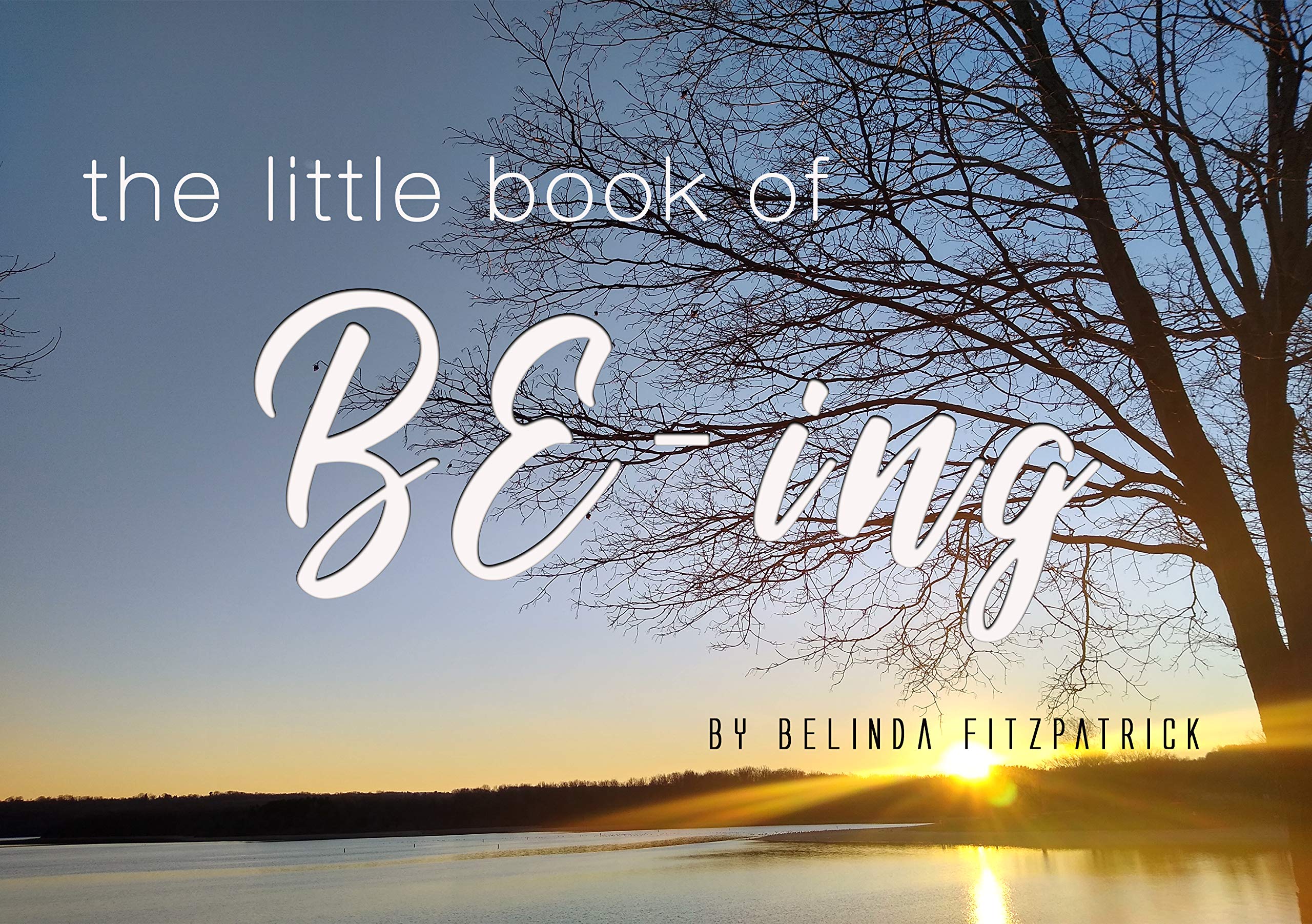 The Little Book of BE-ing: Good feels on the go by Belinda Fitzpatrick ...