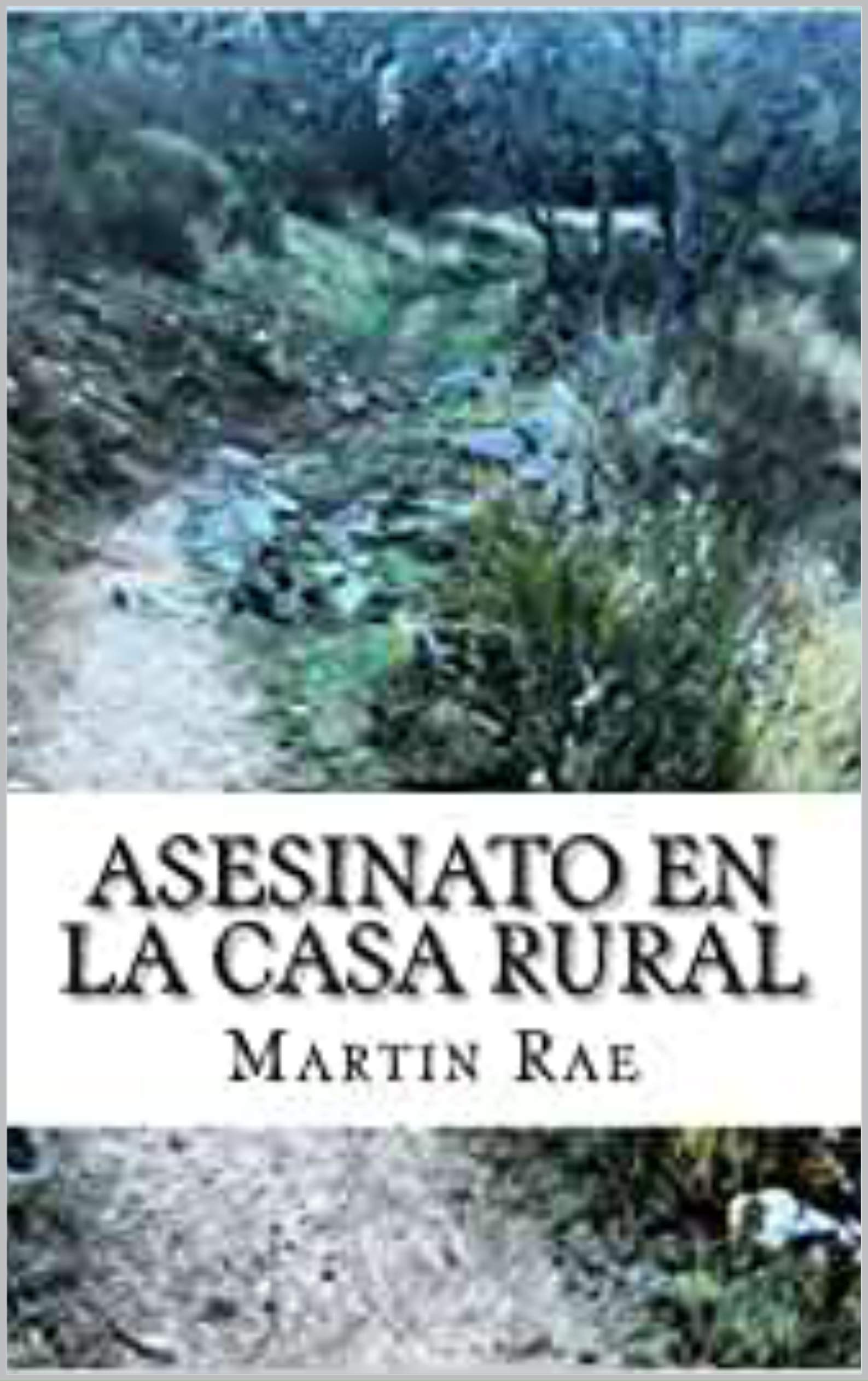 Asesinato en la casa rural (Detective Víctor Torres nº 1) by Martin Rae ...