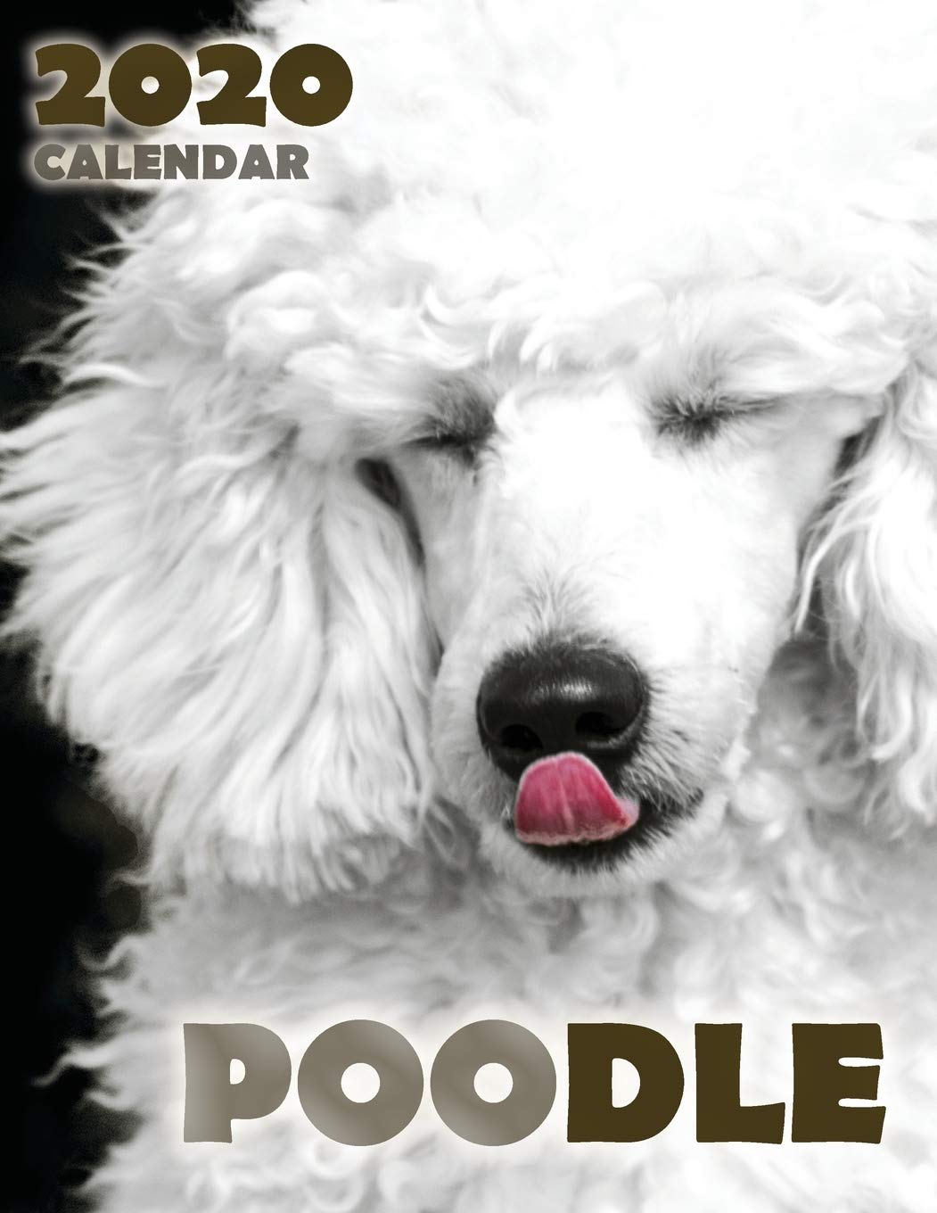 Poodle 2020 Calendar by Over the Wall Dogs | Goodreads