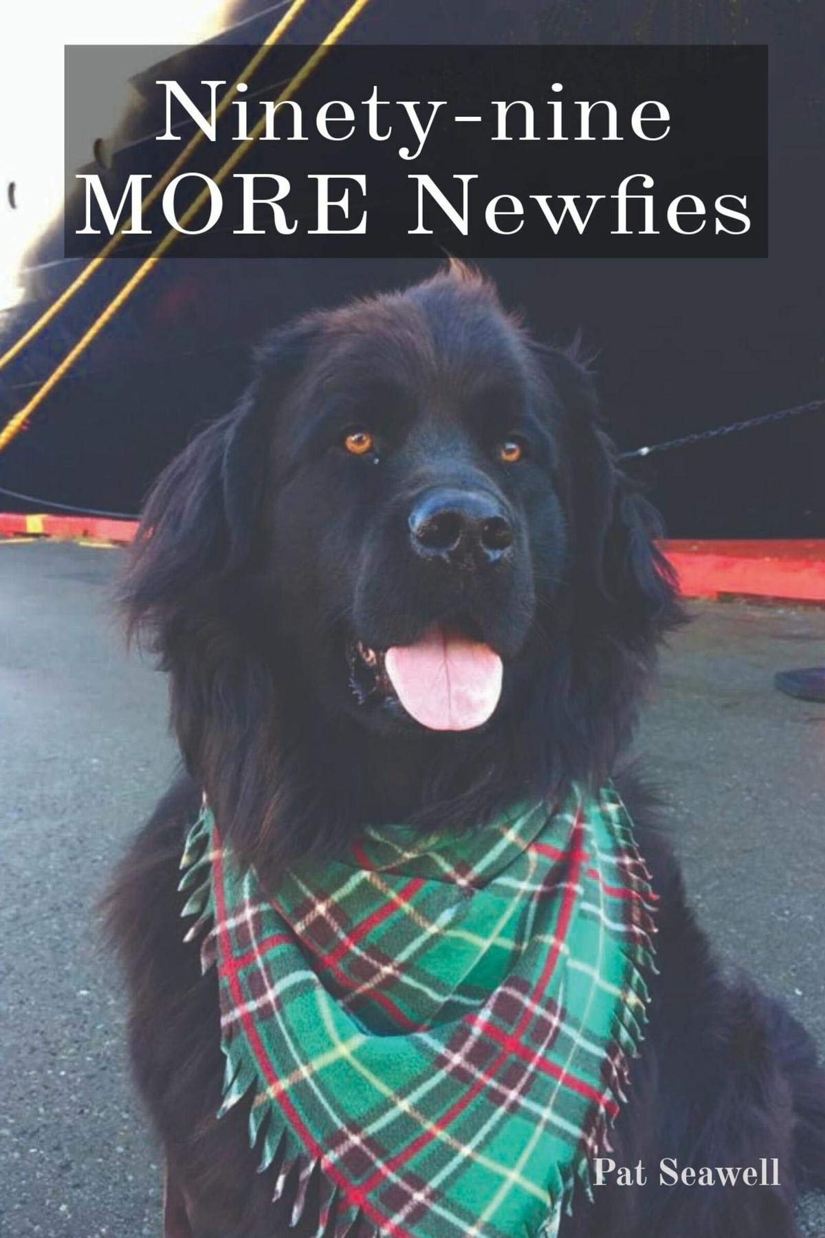 Ninety-nine MORE Newfies by Pat Seawell | Goodreads