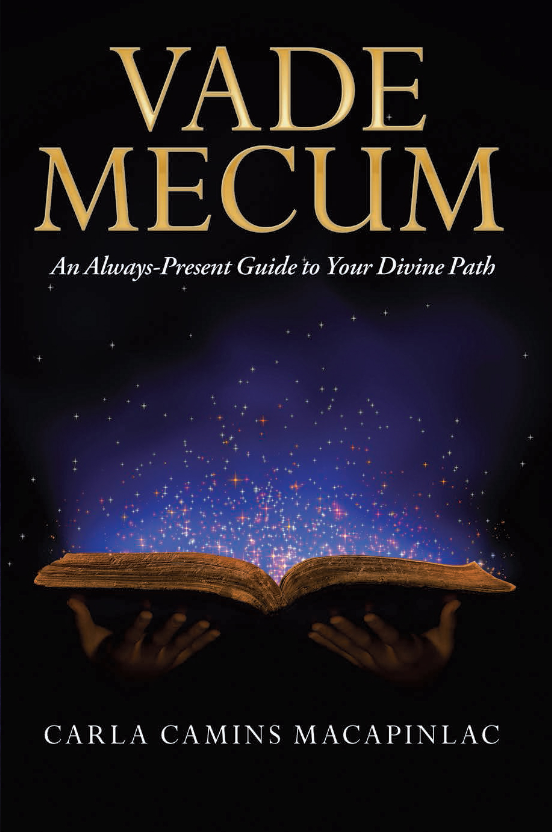 Vade Mecum: An Always-Present Guide to Your Divine Path by Carla Camins ...