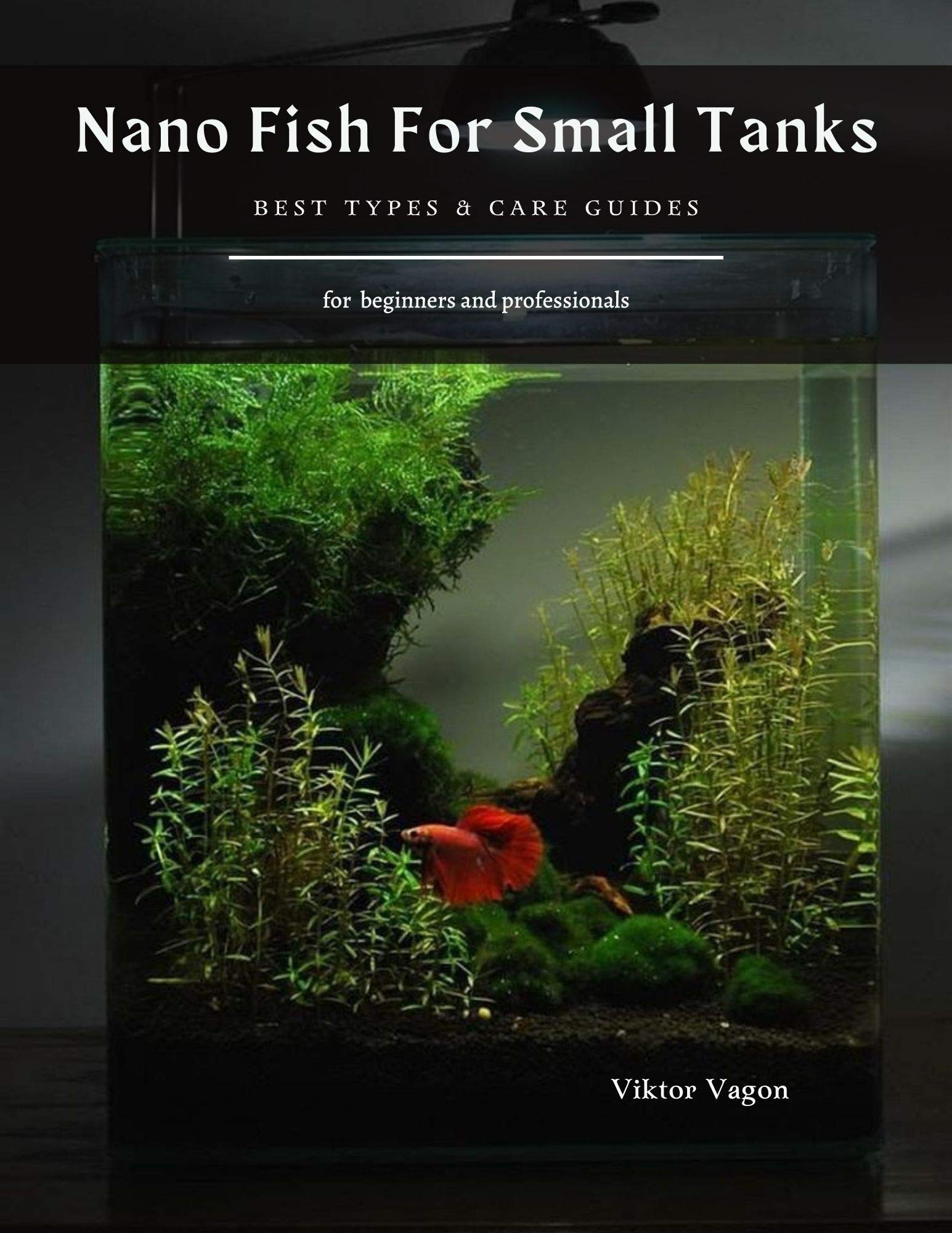 Nano Fish For Small Tanks: Best Types & Care Guides by Viktor Vagon ...