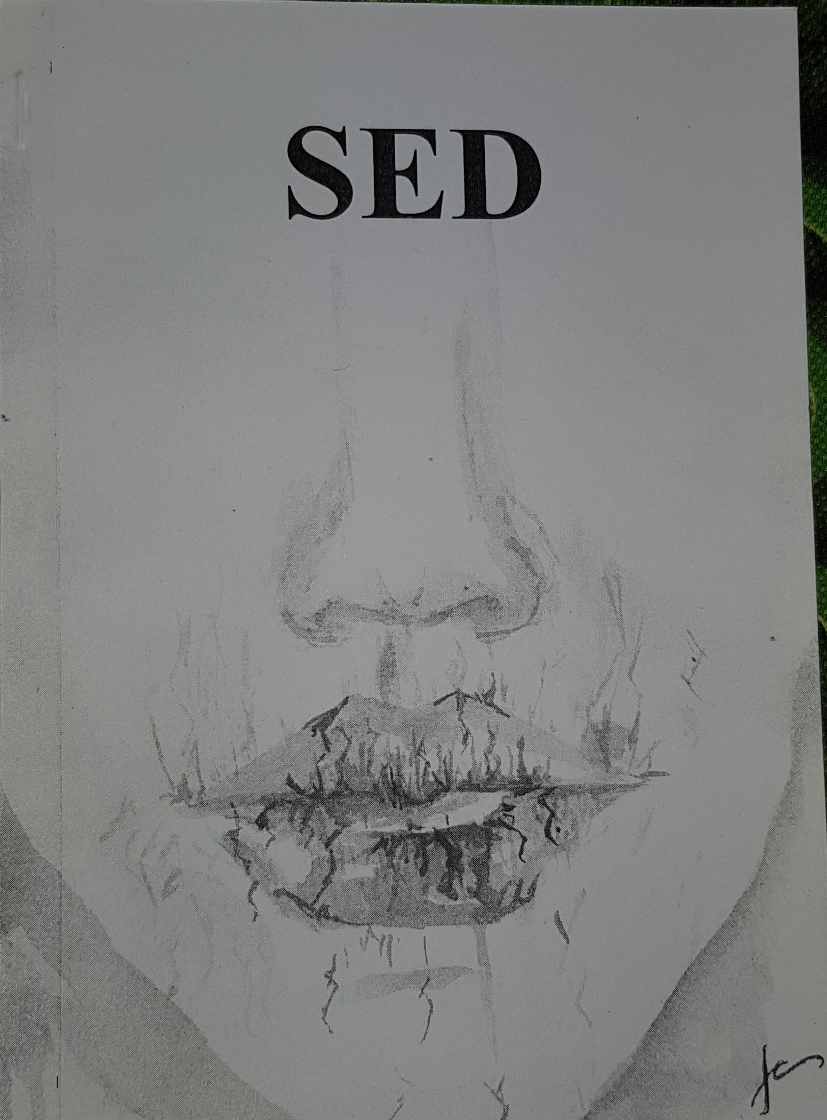 Sed by Patricia Facchini | Goodreads