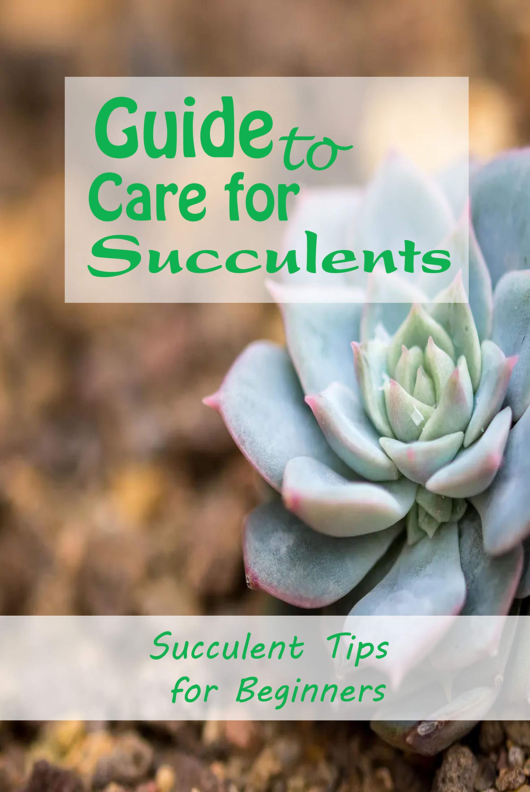 Guide to Care for Succulents: Succulent Tips for Beginners: How to Grow ...