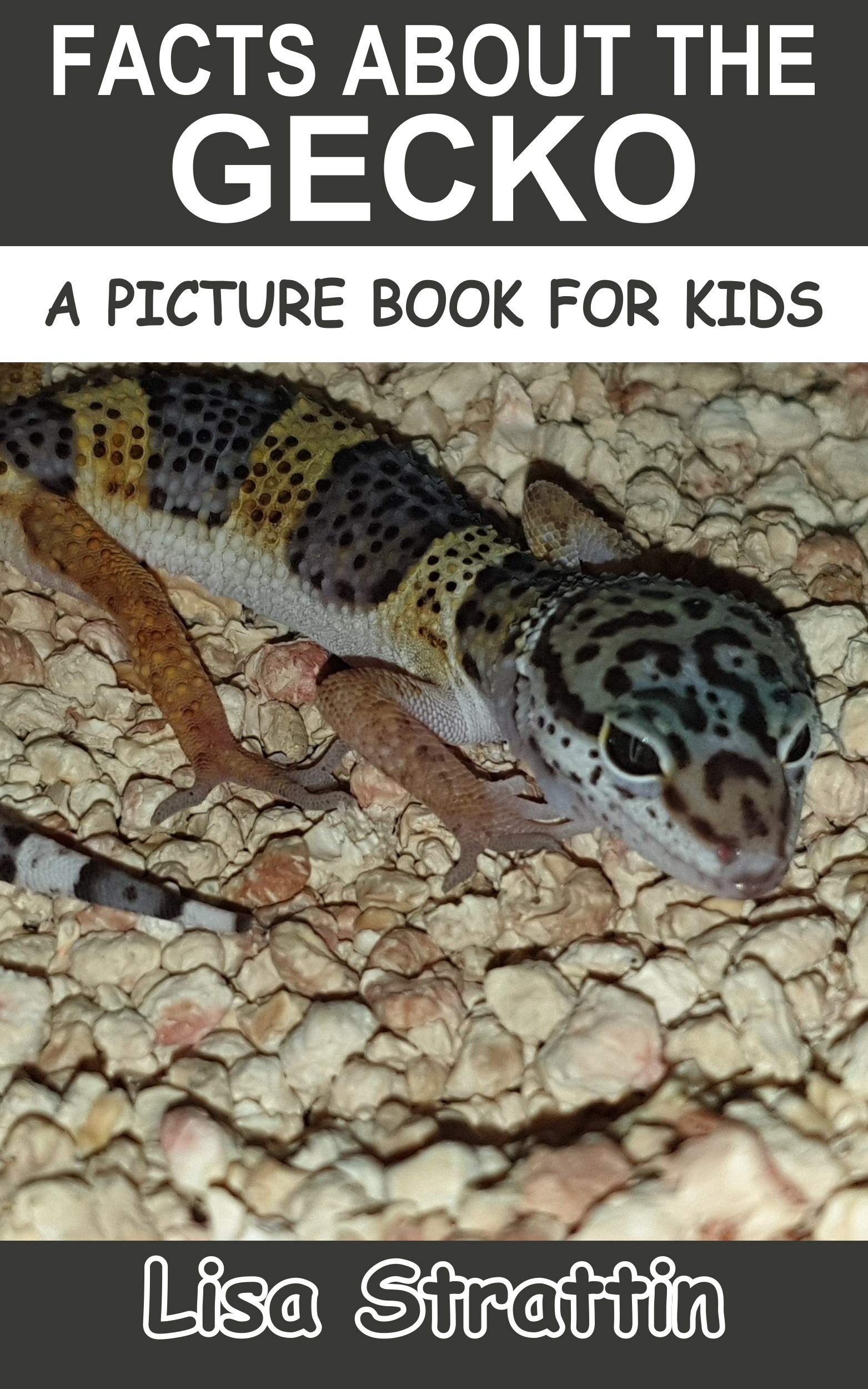 Facts About the Gecko (A Picture Book For Kids 196) by Lisa Strattin ...