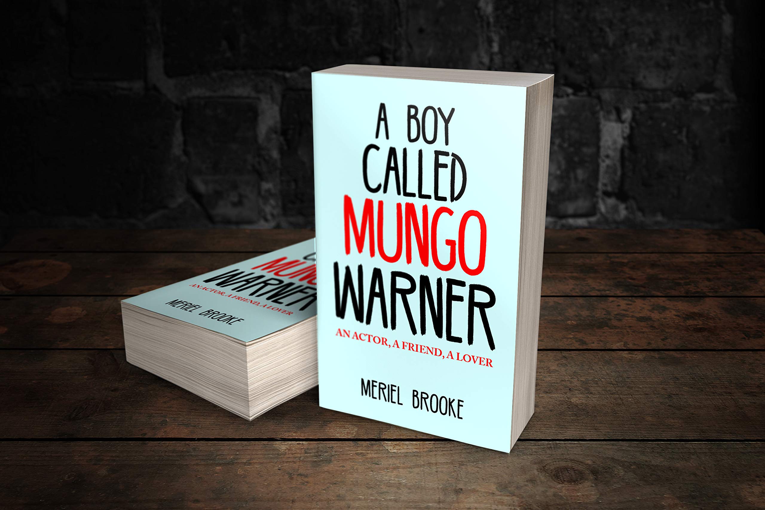 A Boy Called Mungo Warner: A compelling historical novel about an actor ...
