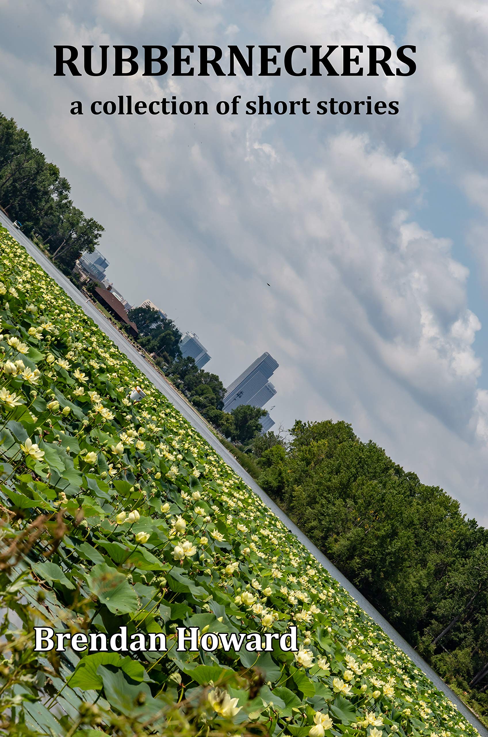 Rubberneckers: A Collection of Short Stories by Brendan Howard | Goodreads