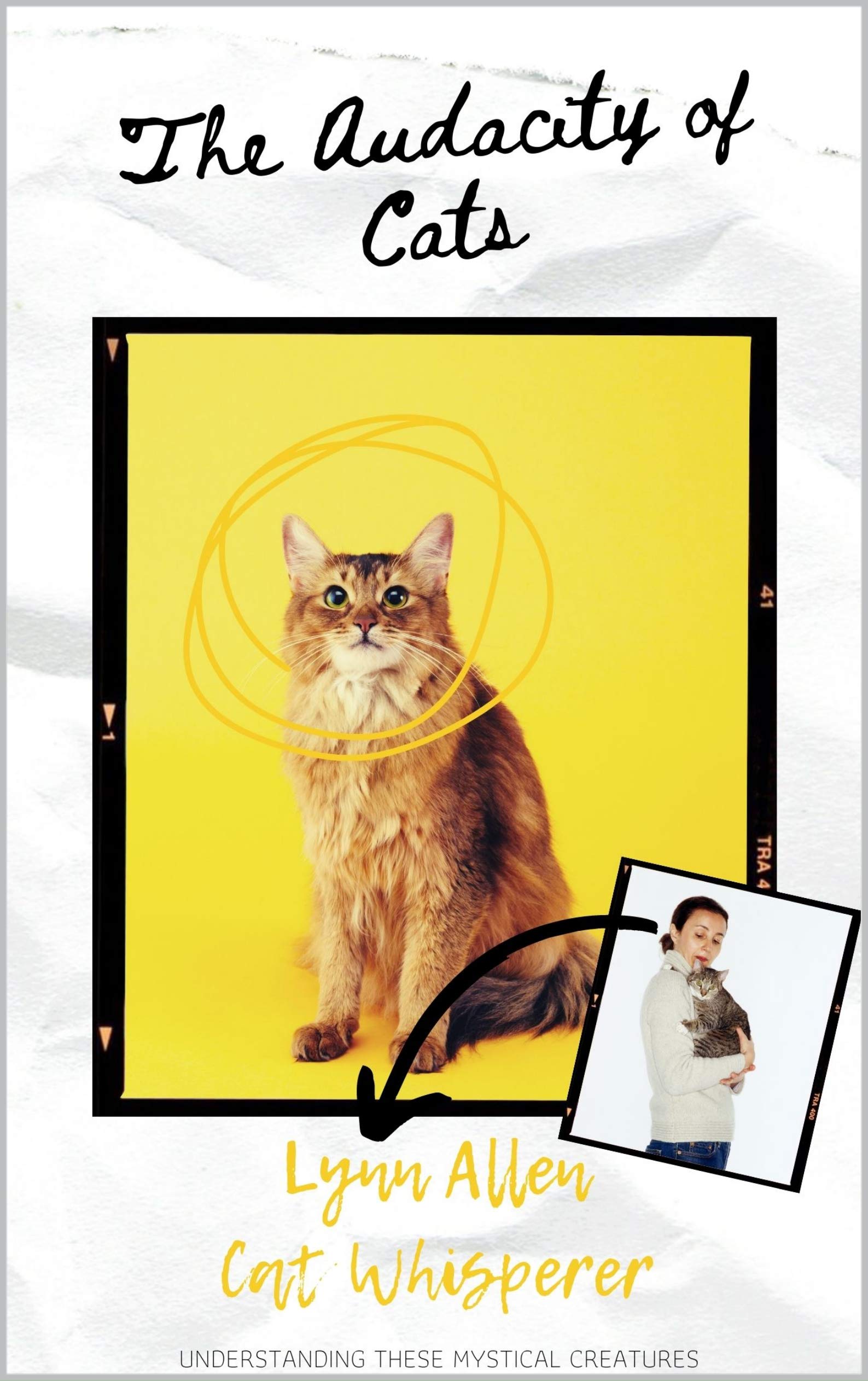 The Audacity of Cats: Funny Tips and Tricks to Understand Your Cat's ...